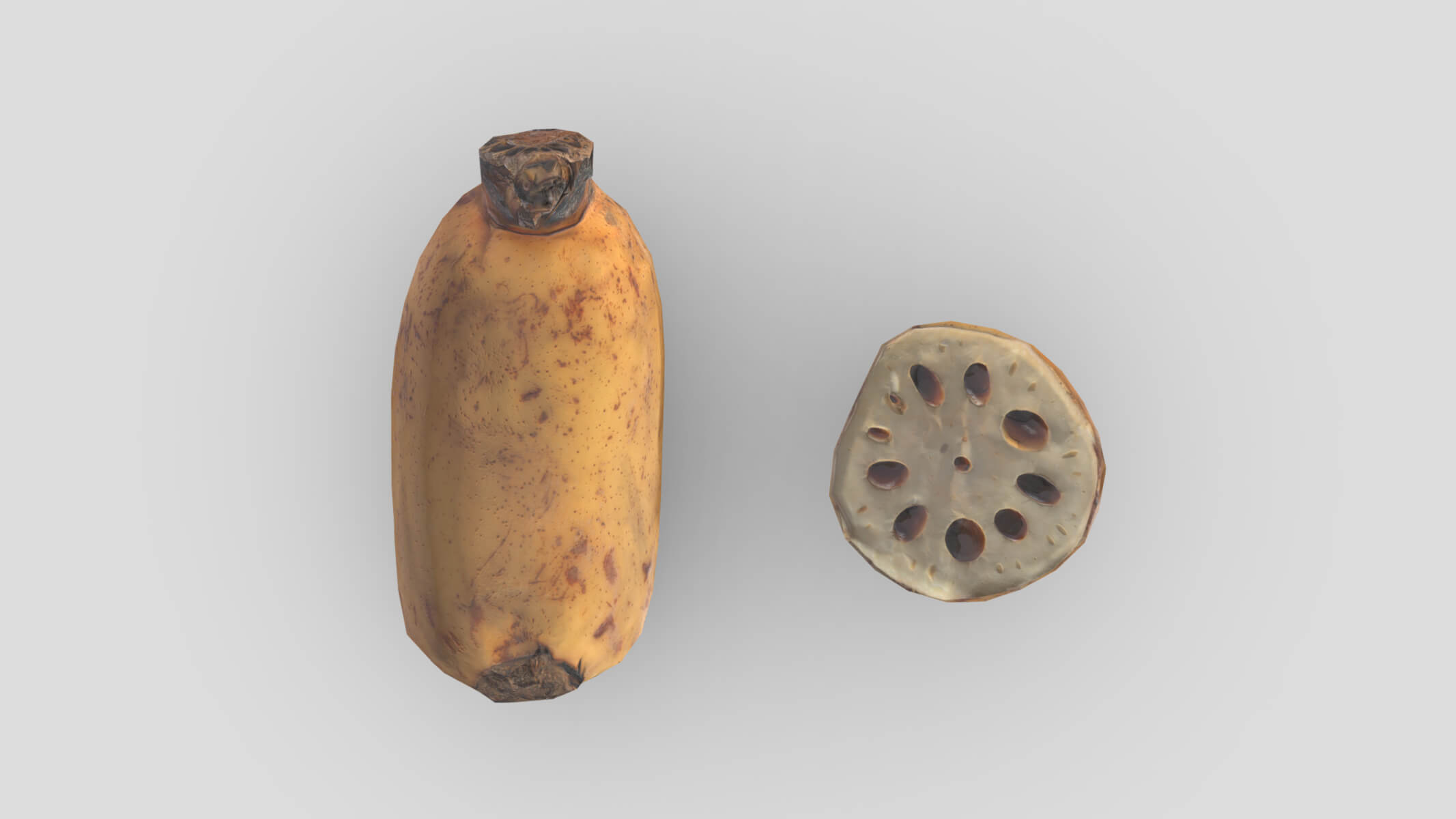 Lotus Root Low Poly - 3D Model by frezzy