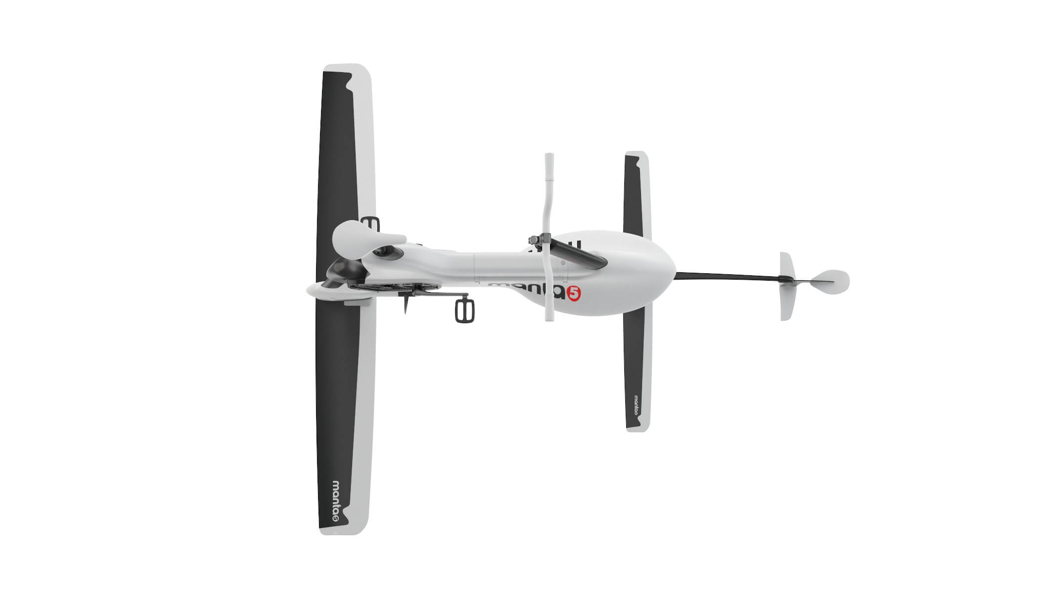 Manta5 - 3D Model by frezzy