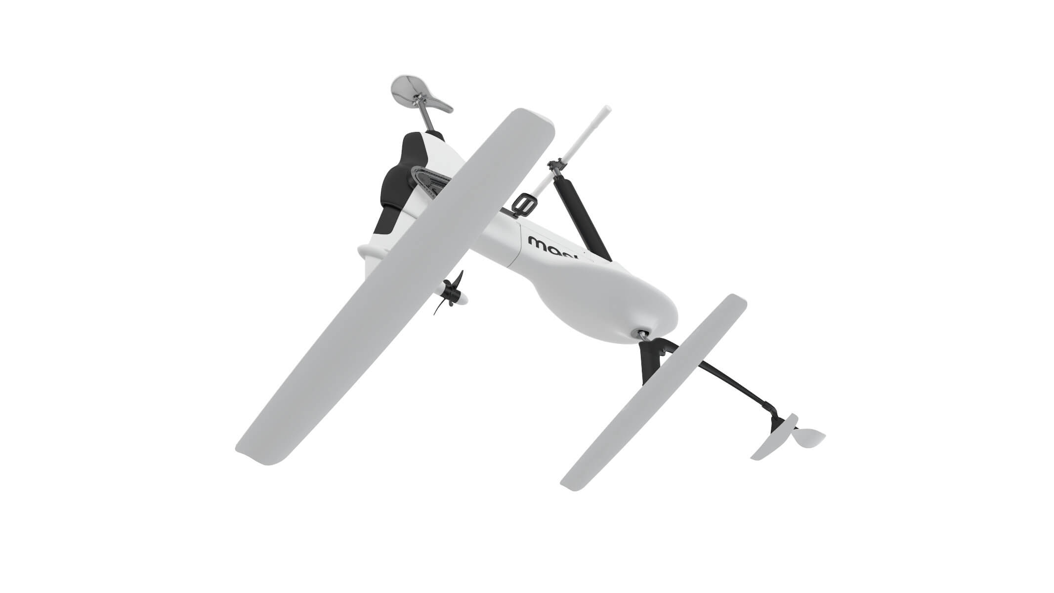 Manta5 - 3D Model by frezzy