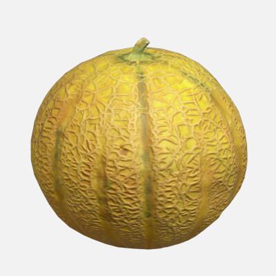 Melon Fruit Low Poly - 3D Model by frezzy