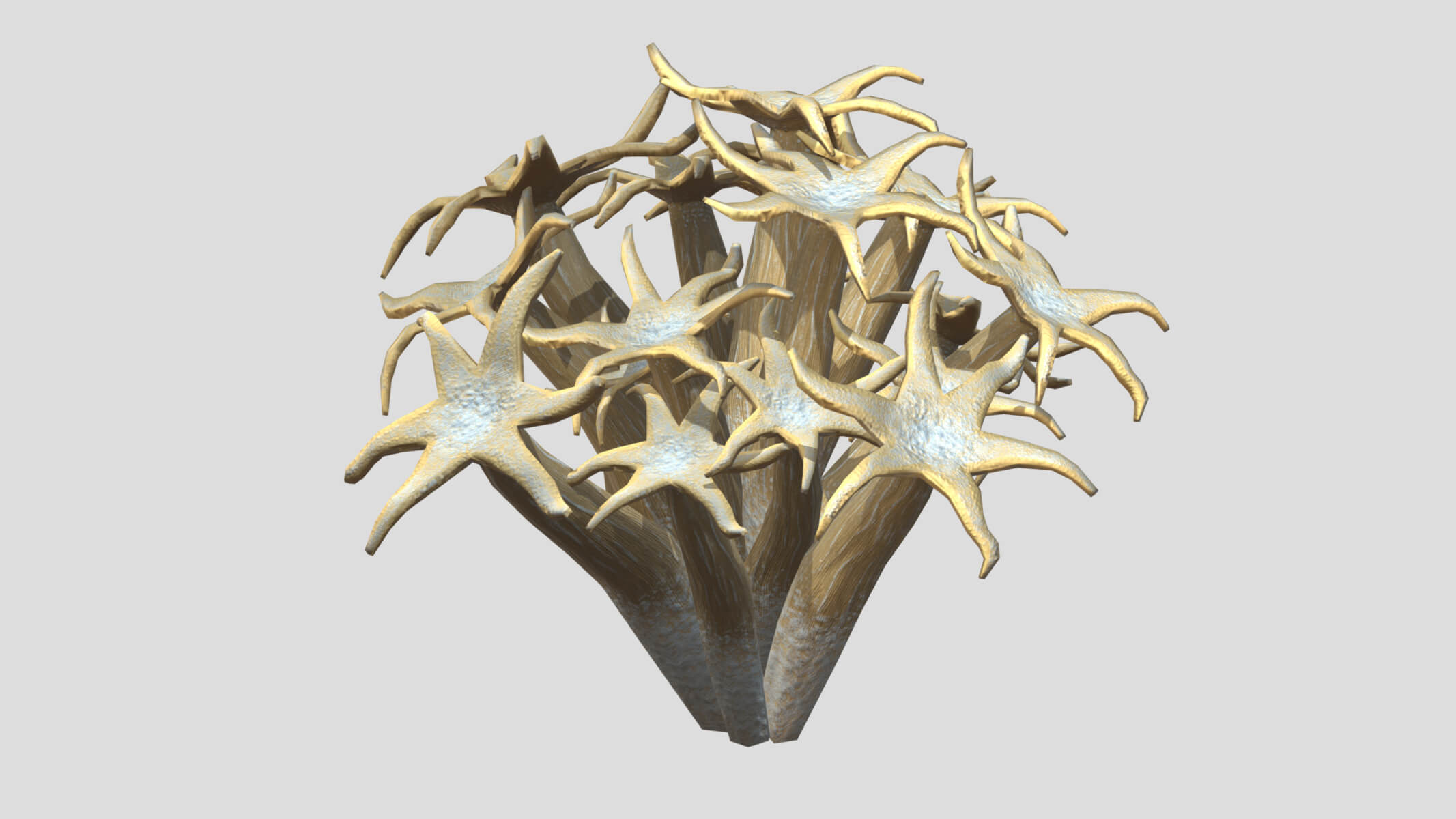 Organ Pipe Coral Low Poly - 3D Model by frezzy