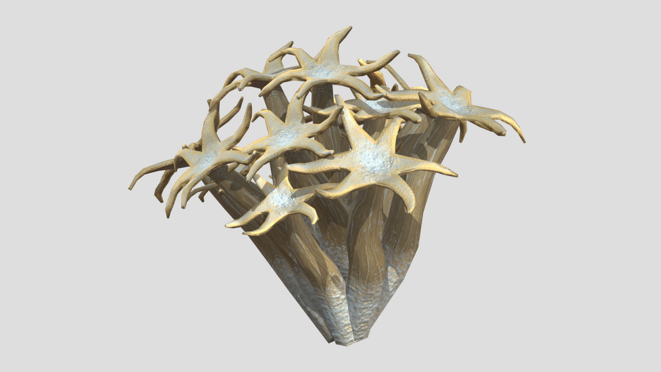 Organ Pipe Coral Low Poly - 3D Model by frezzy