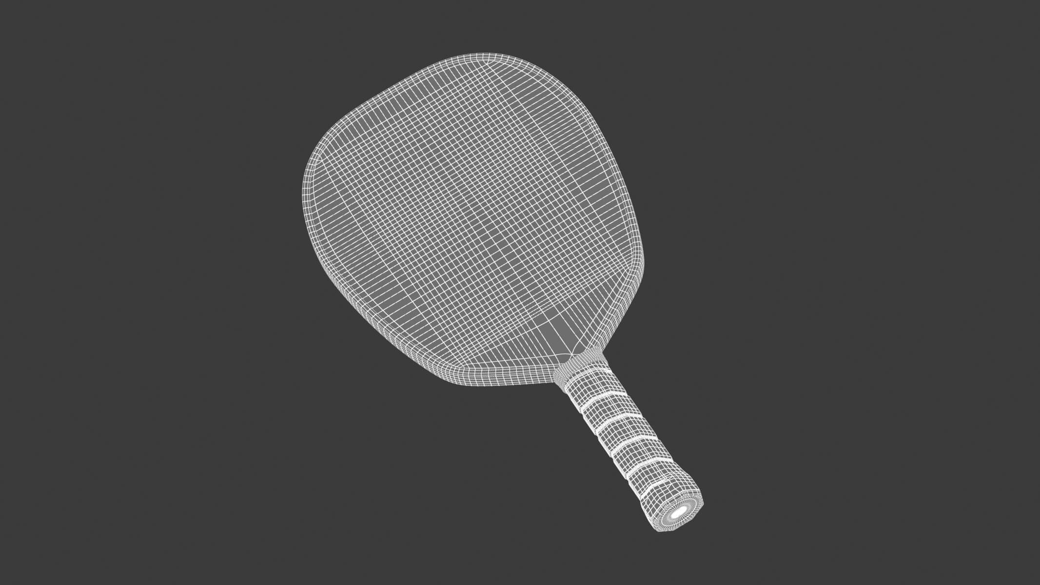 Pickle Ball Paddle - 3D Model by frezzy
