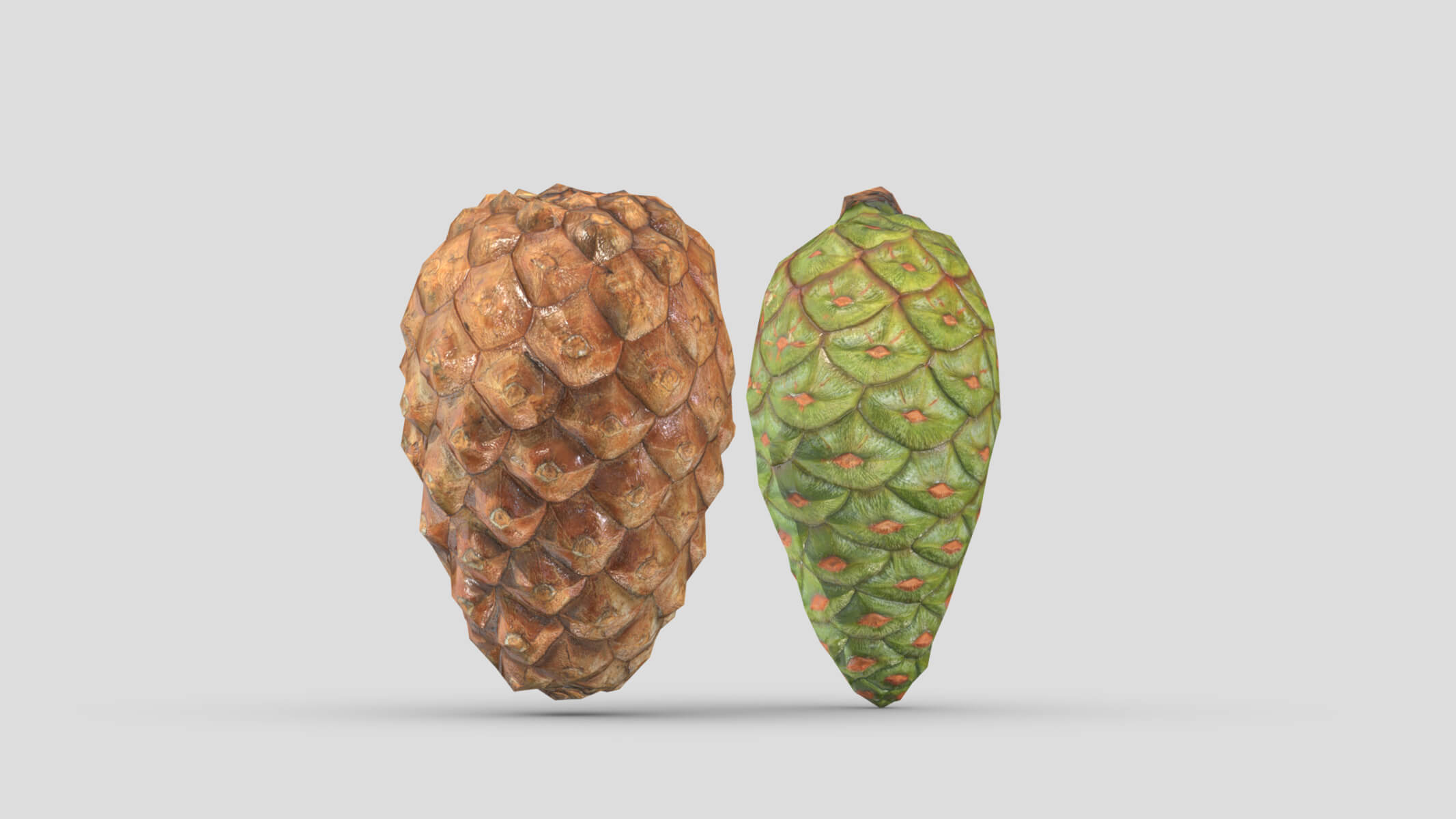 Pine Cone 2 Low Poly - 3D Model by frezzy