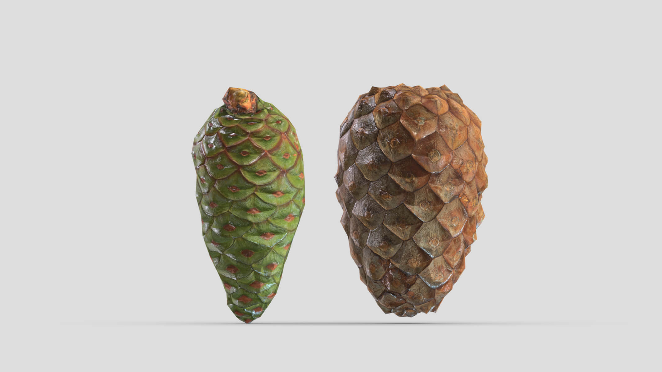 Pine Cone 2 Low Poly - 3D Model by frezzy