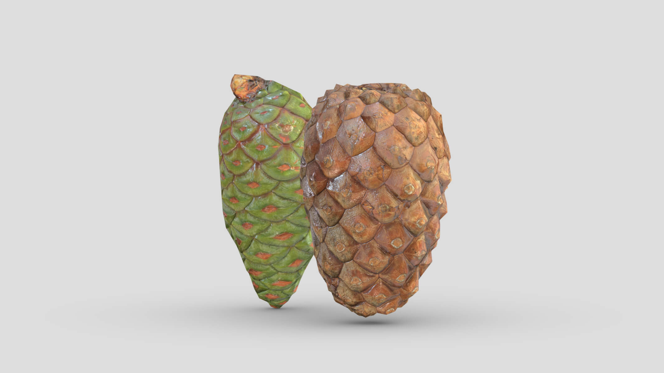 Pine Cone 2 Low Poly - 3D Model by frezzy