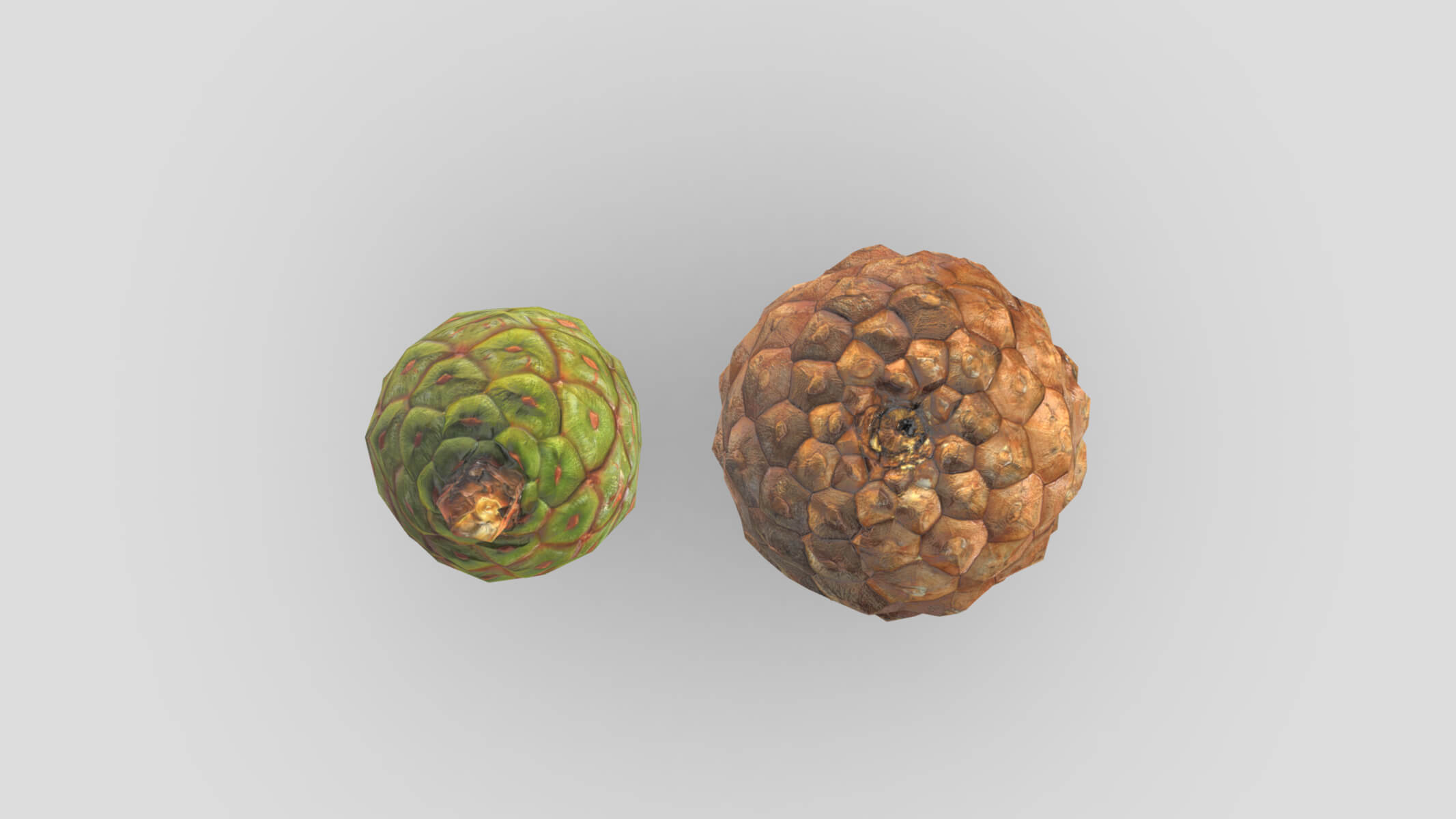 Pine Cone 2 Low Poly - 3D Model by frezzy