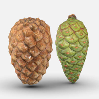Pine Cone 2 Low Poly - 3D Model by frezzy