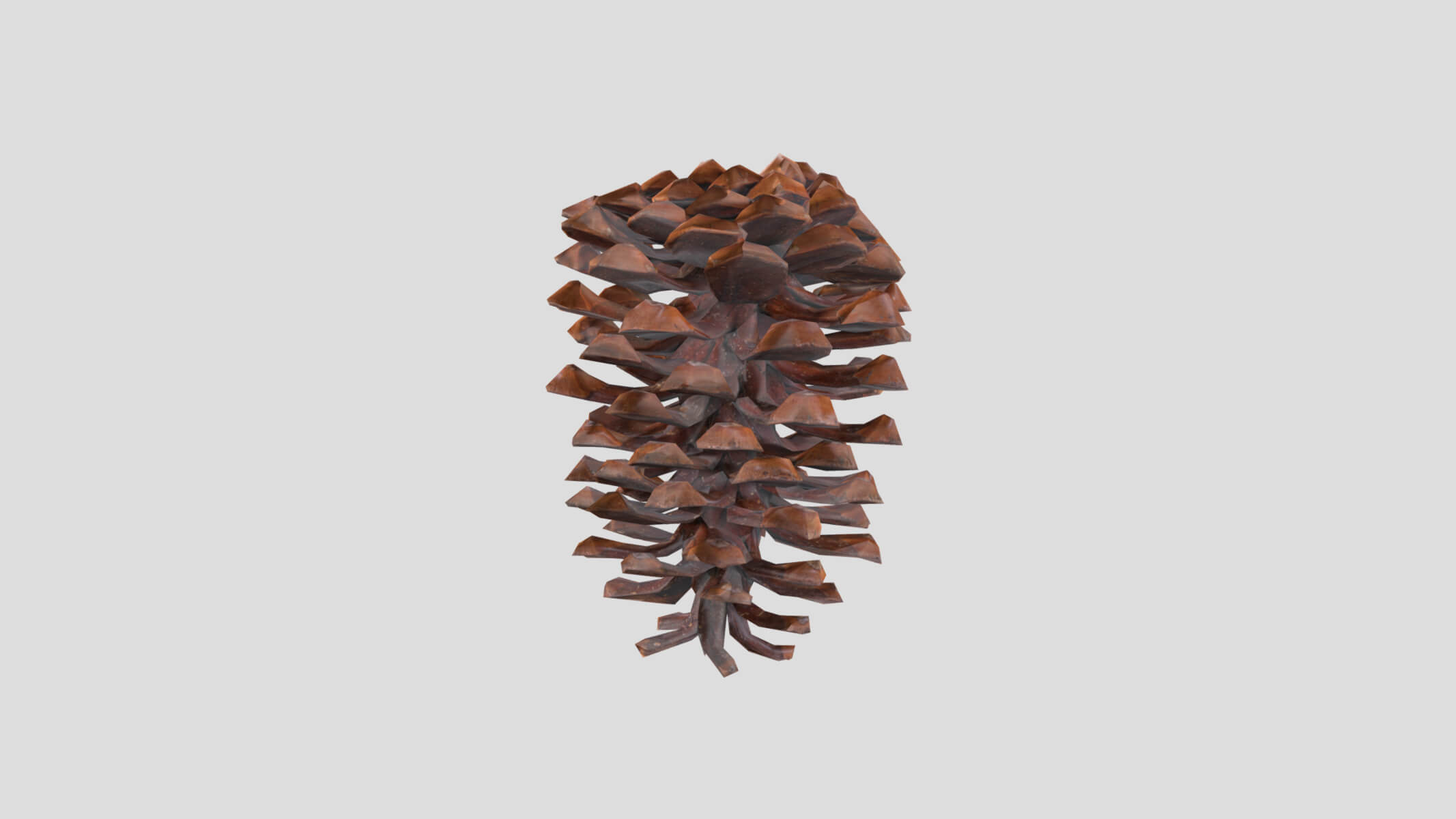 Pine Cone Low Poly - 3D Model by frezzy