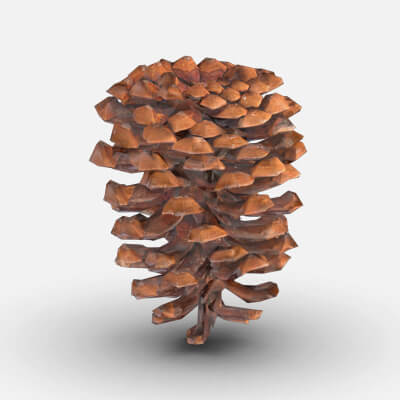 Pine Cone Low Poly - 3D Model by frezzy