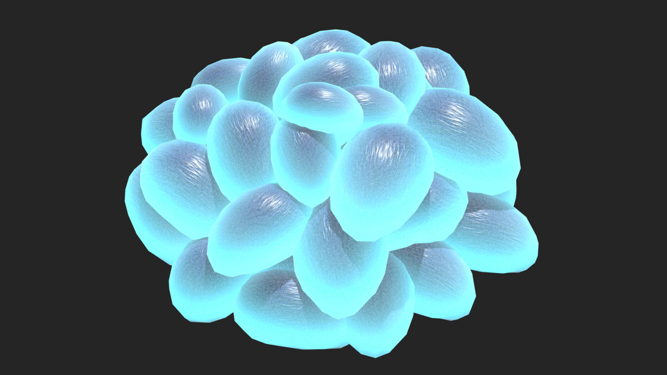 Plerogyra Sinuosa Low Poly - 3D Model by frezzy
