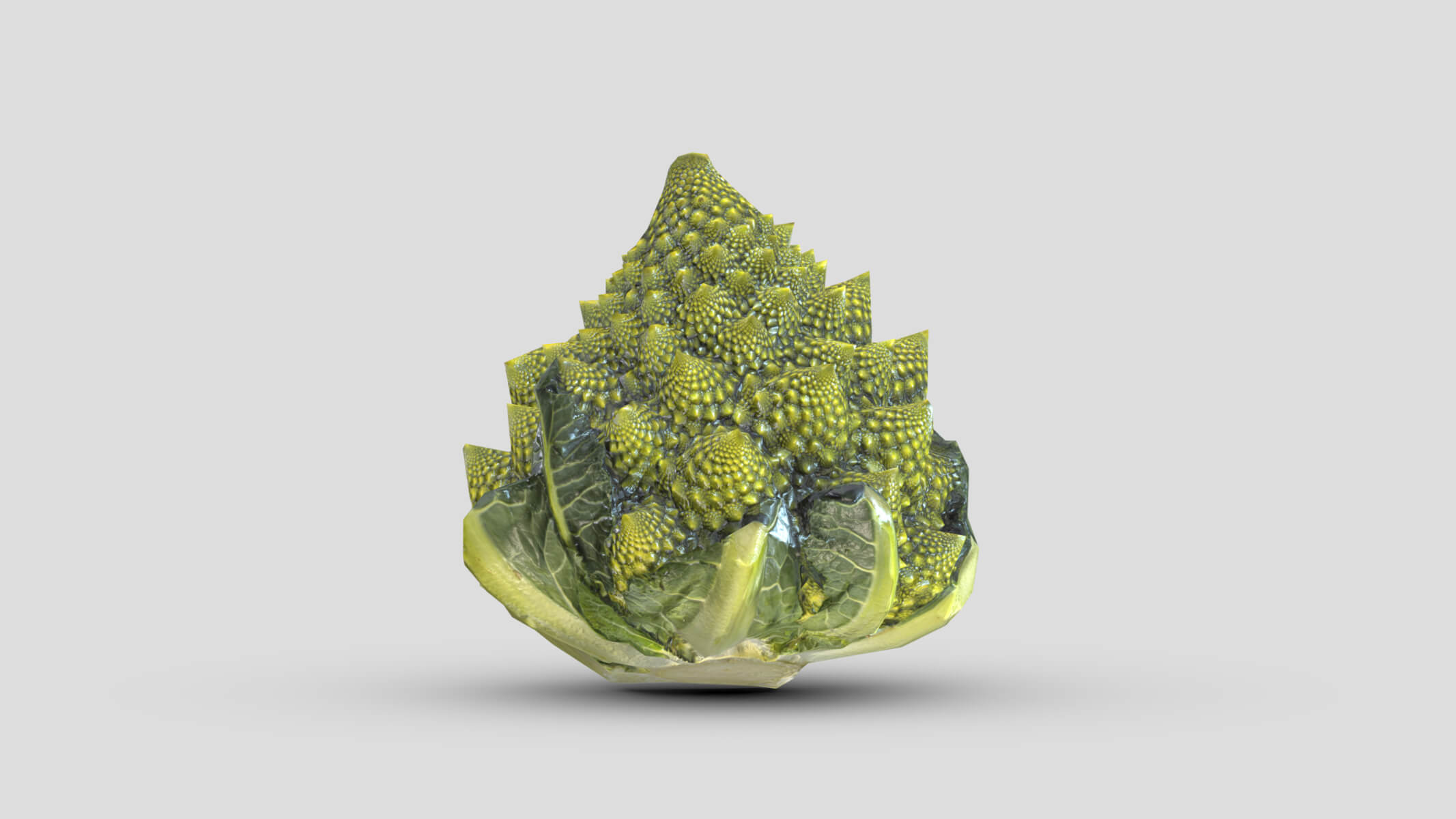 Romanesco Low Poly - 3D Model by frezzy