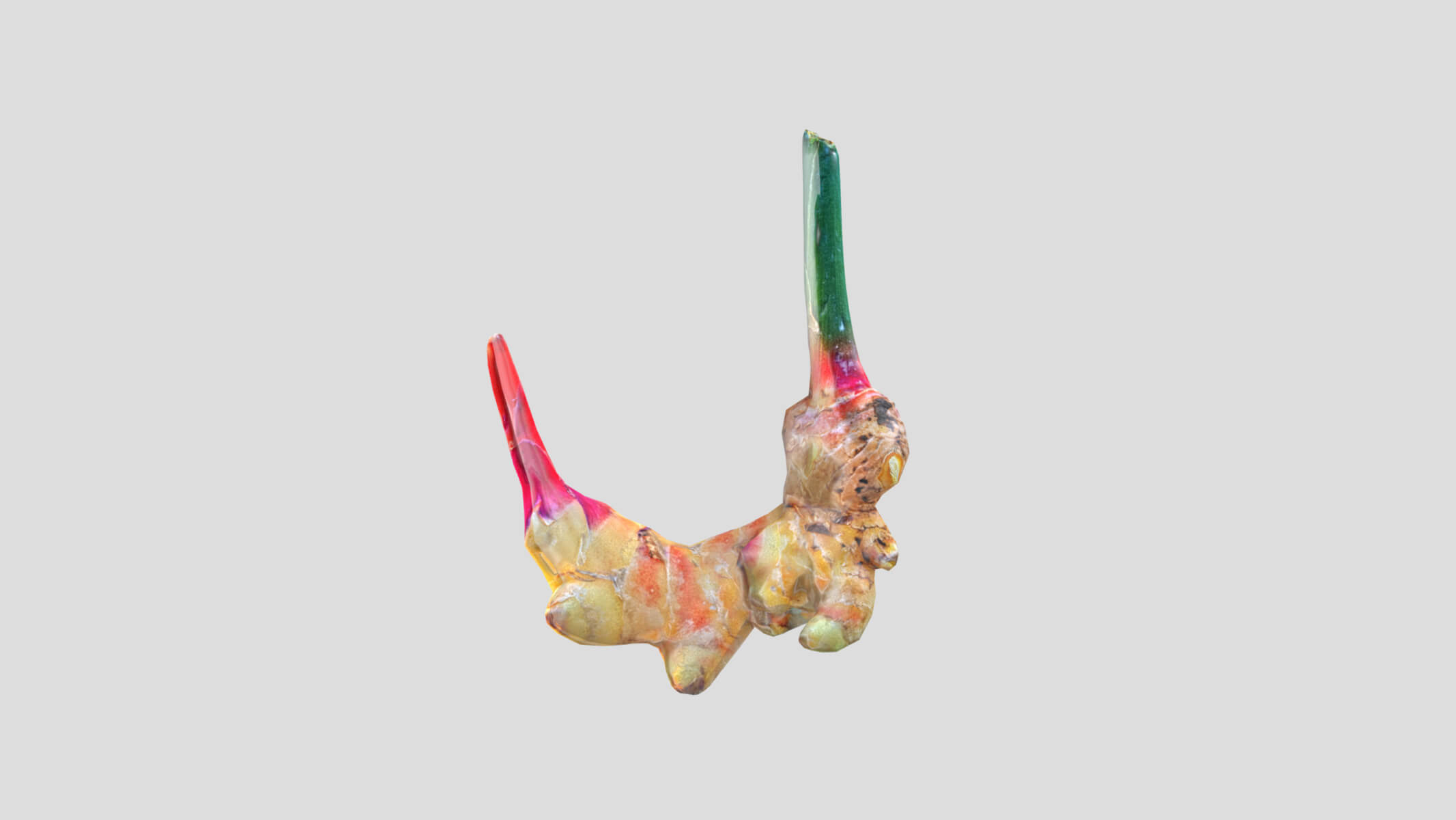 Turmeric Low Poly - 3D Model by frezzy