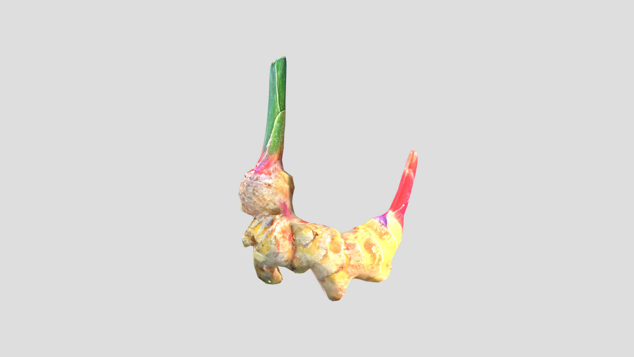 Turmeric Low Poly - 3D Model by frezzy
