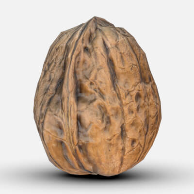 Walnut Low Poly - 3D Model by frezzy