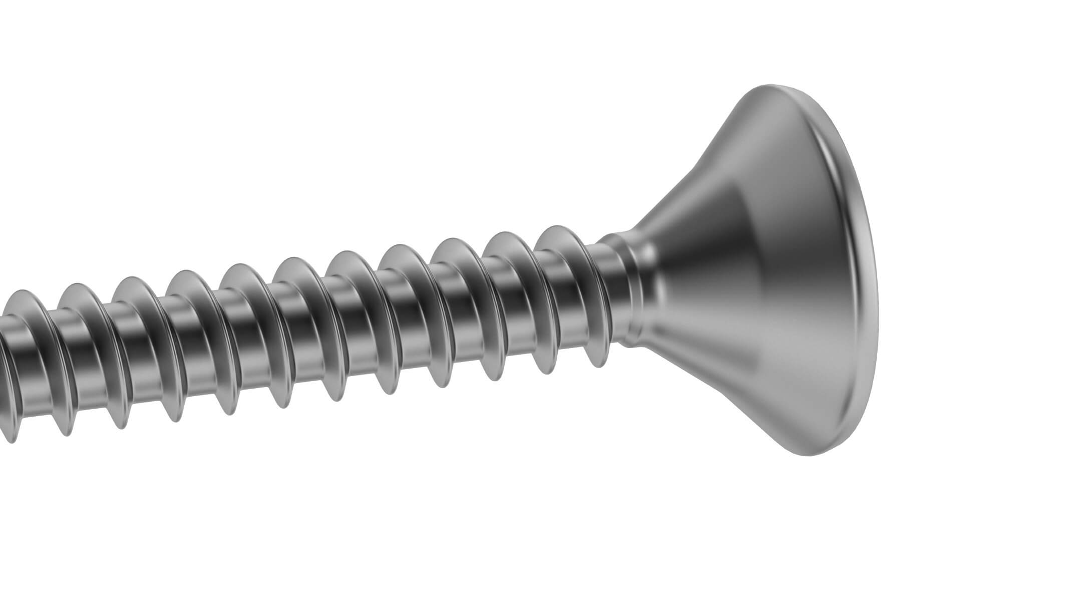 Wood Screw - 3D Model by frezzy