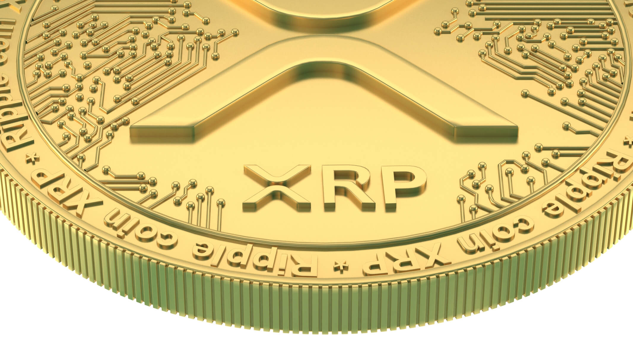 XRP Coin - 3D Model by frezzy