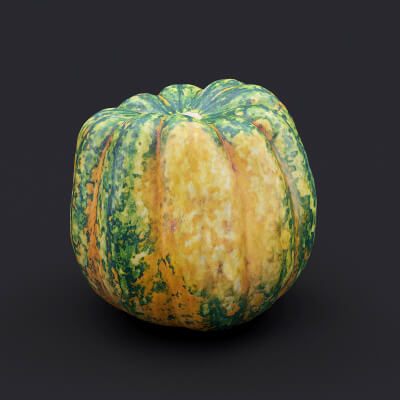 Pumpkin 3D Model by fusemesh