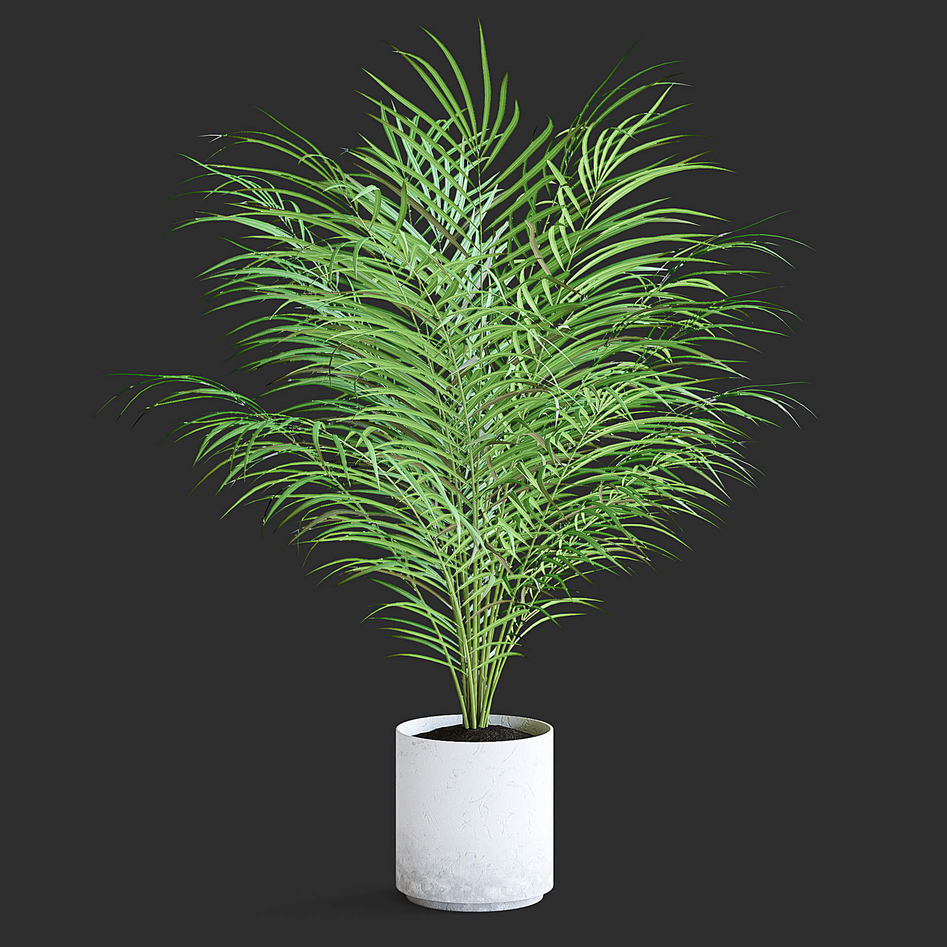 Areca Palm II - 3D Model by fusemesh