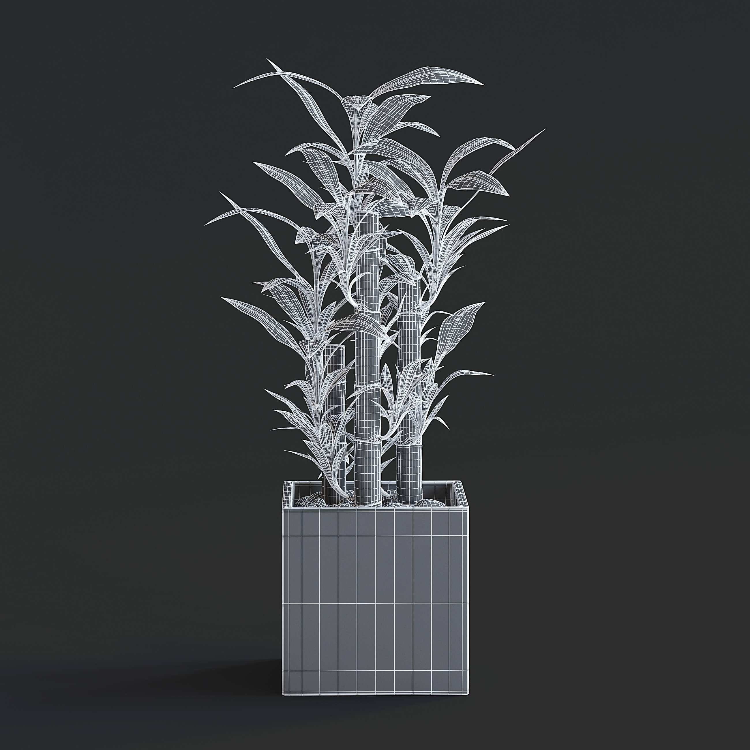 Bamboo Plant - 3D Model by fusemesh