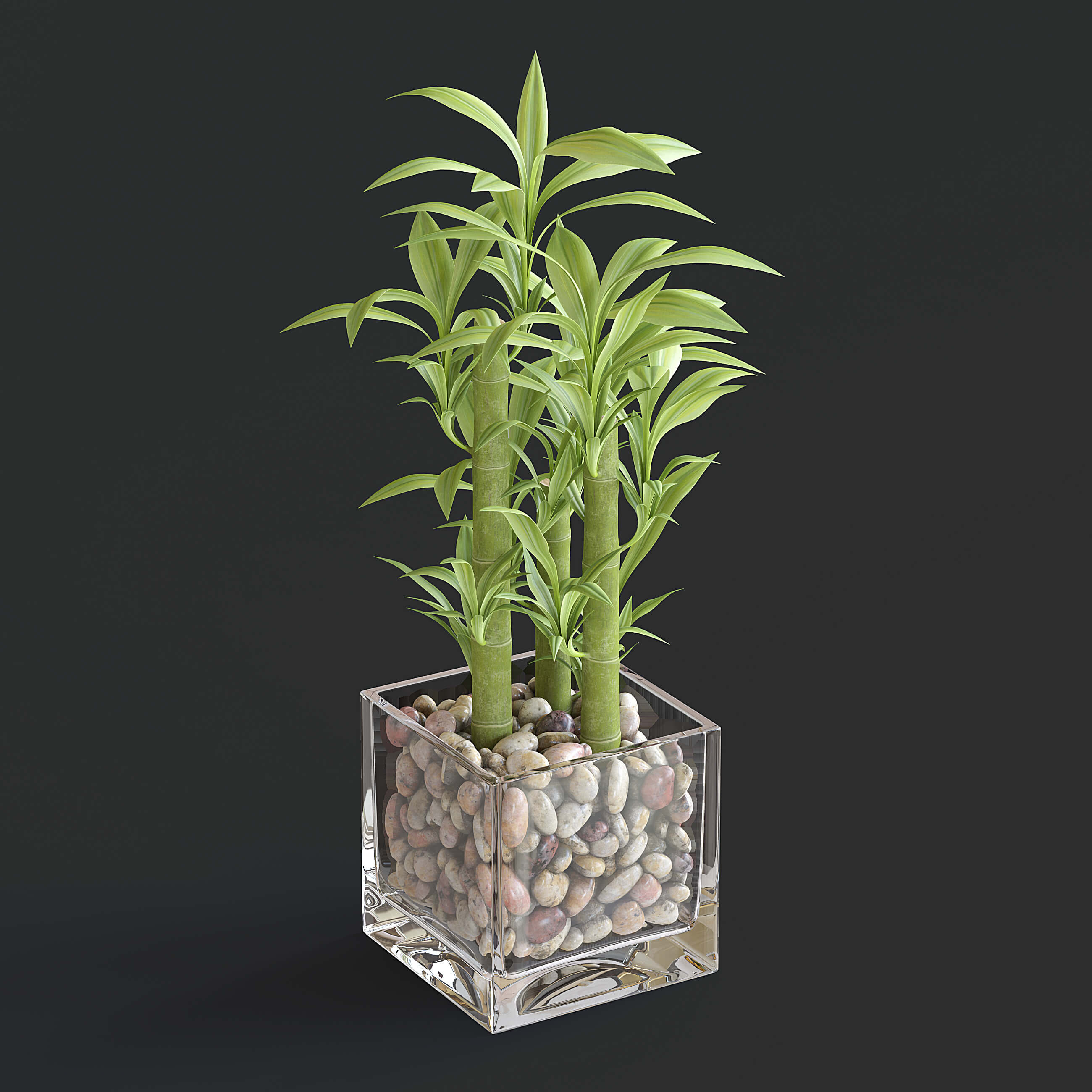 Bamboo Plant - 3D Model by fusemesh