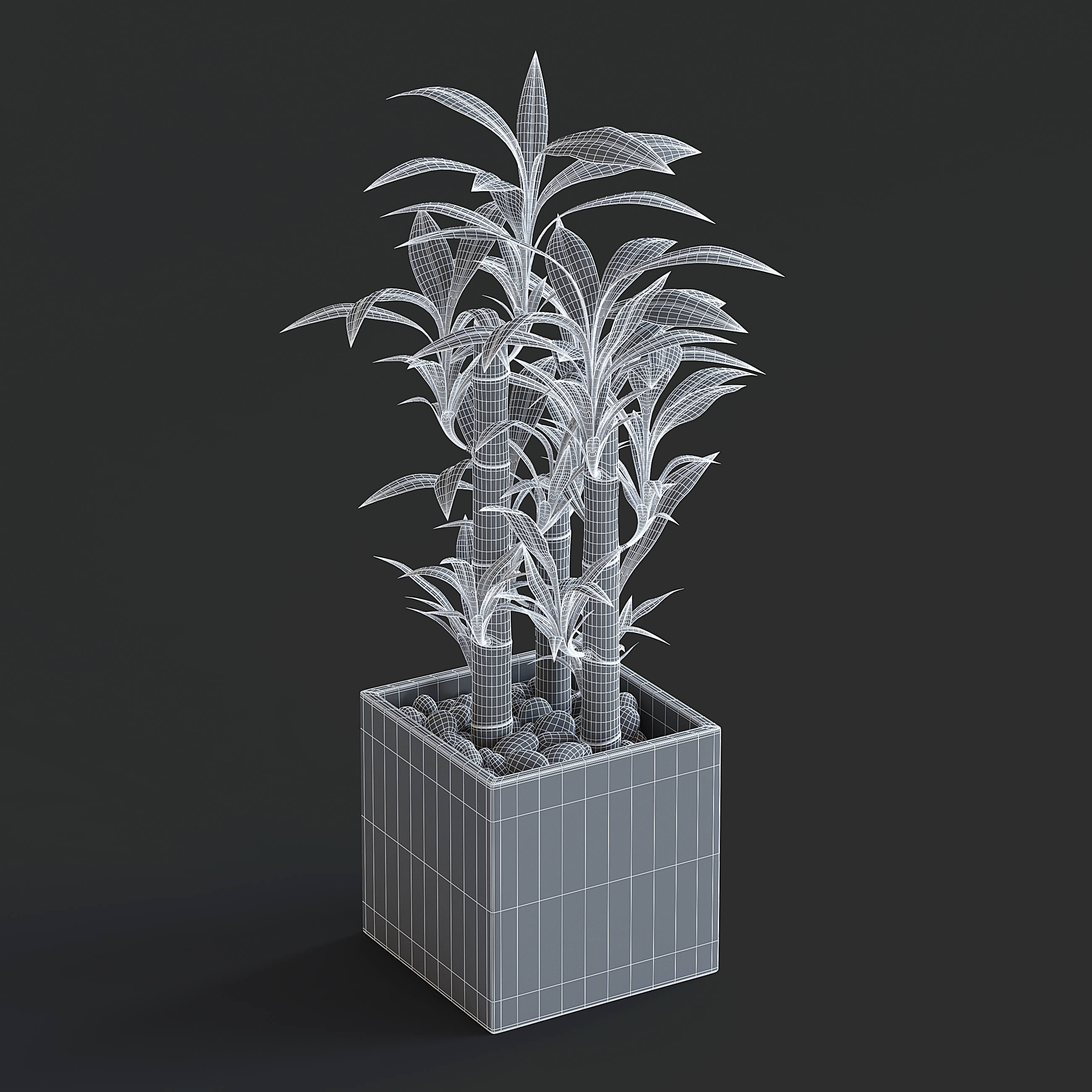 Bamboo Plant - 3D Model by fusemesh