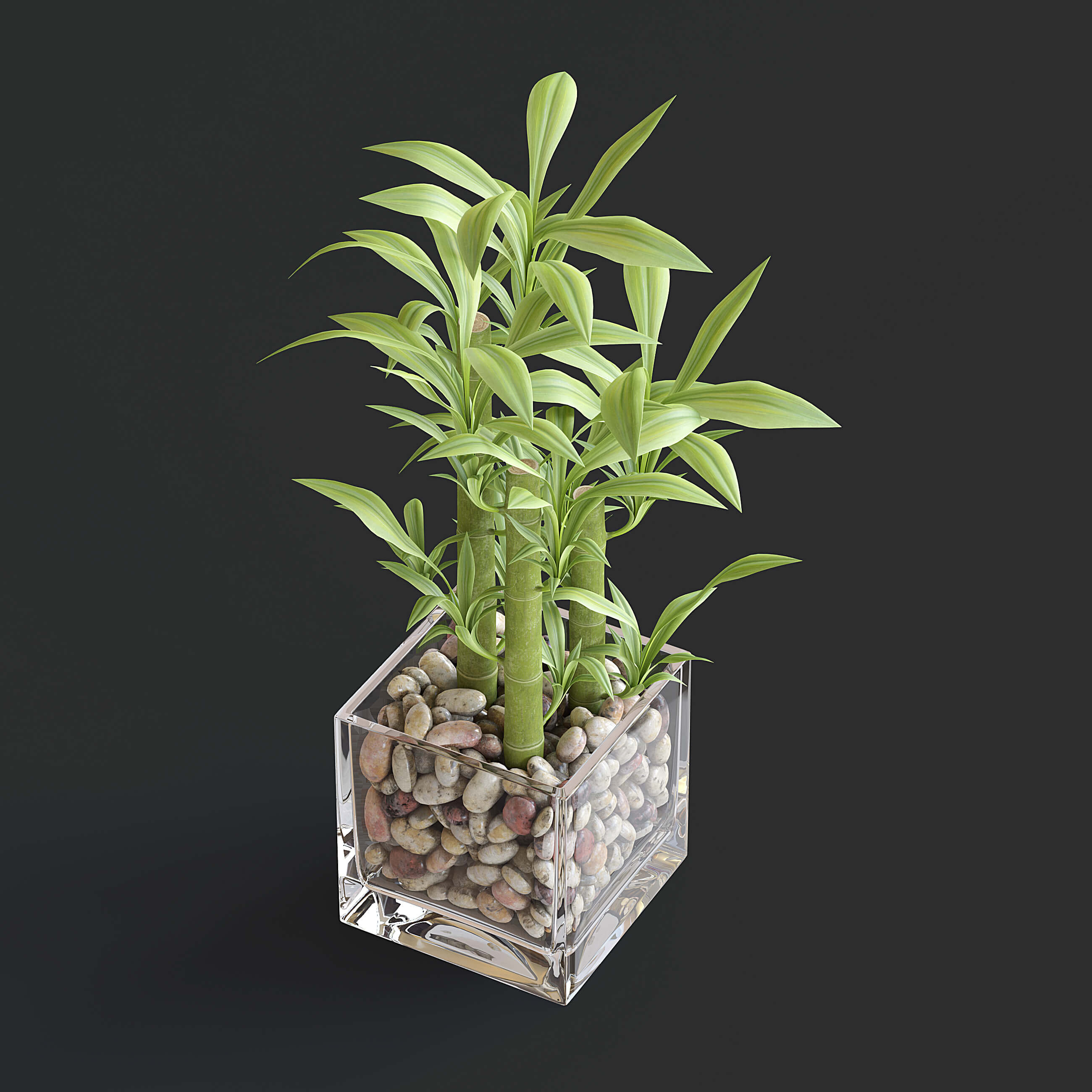 Bamboo Plant - 3D Model by fusemesh