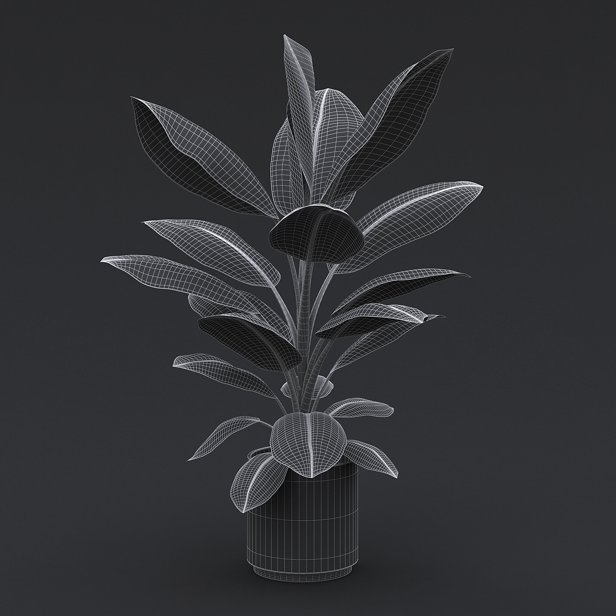 Cavendish Banana Plant I - 3D Model by fusemesh