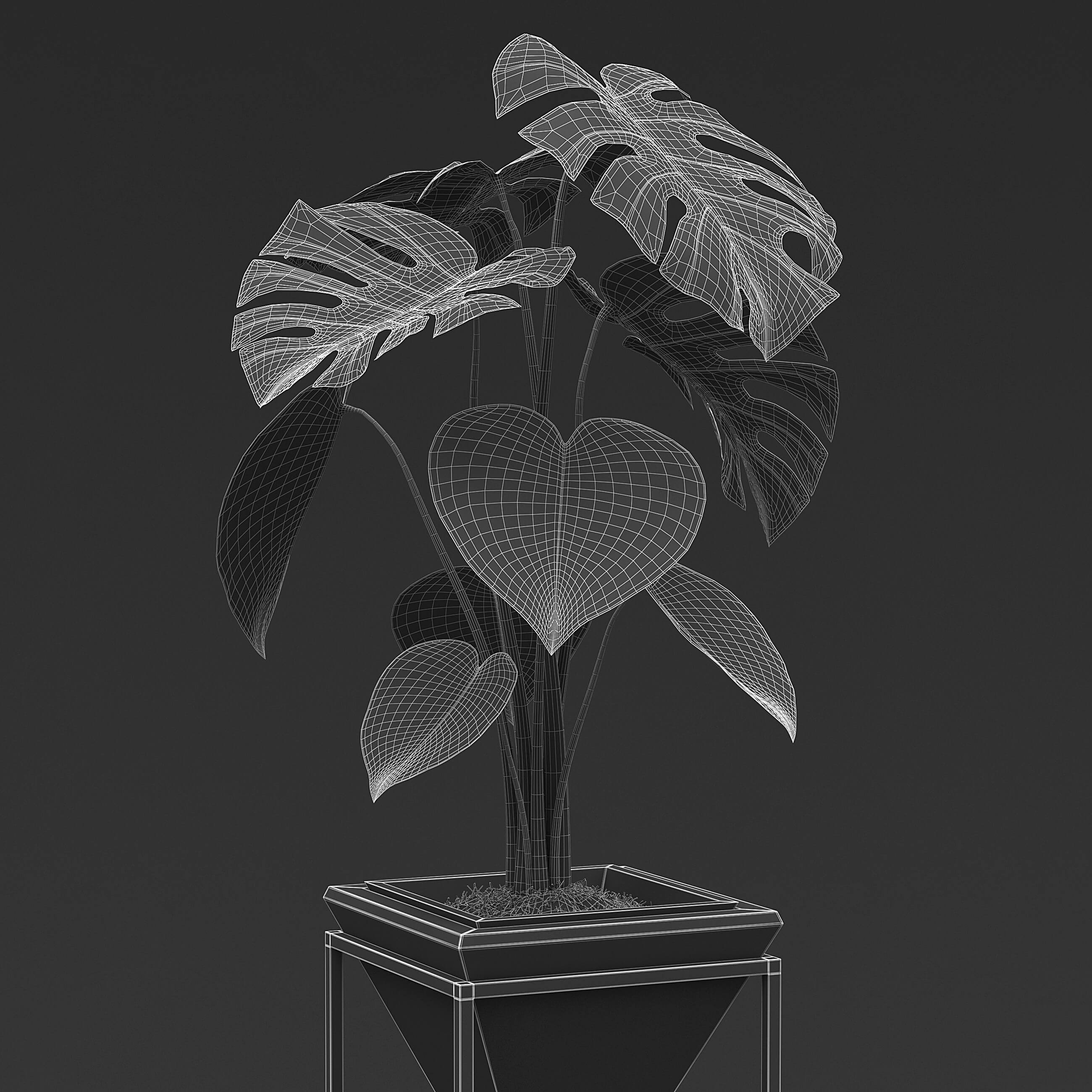 Cheese Plant III - 3D Model by fusemesh