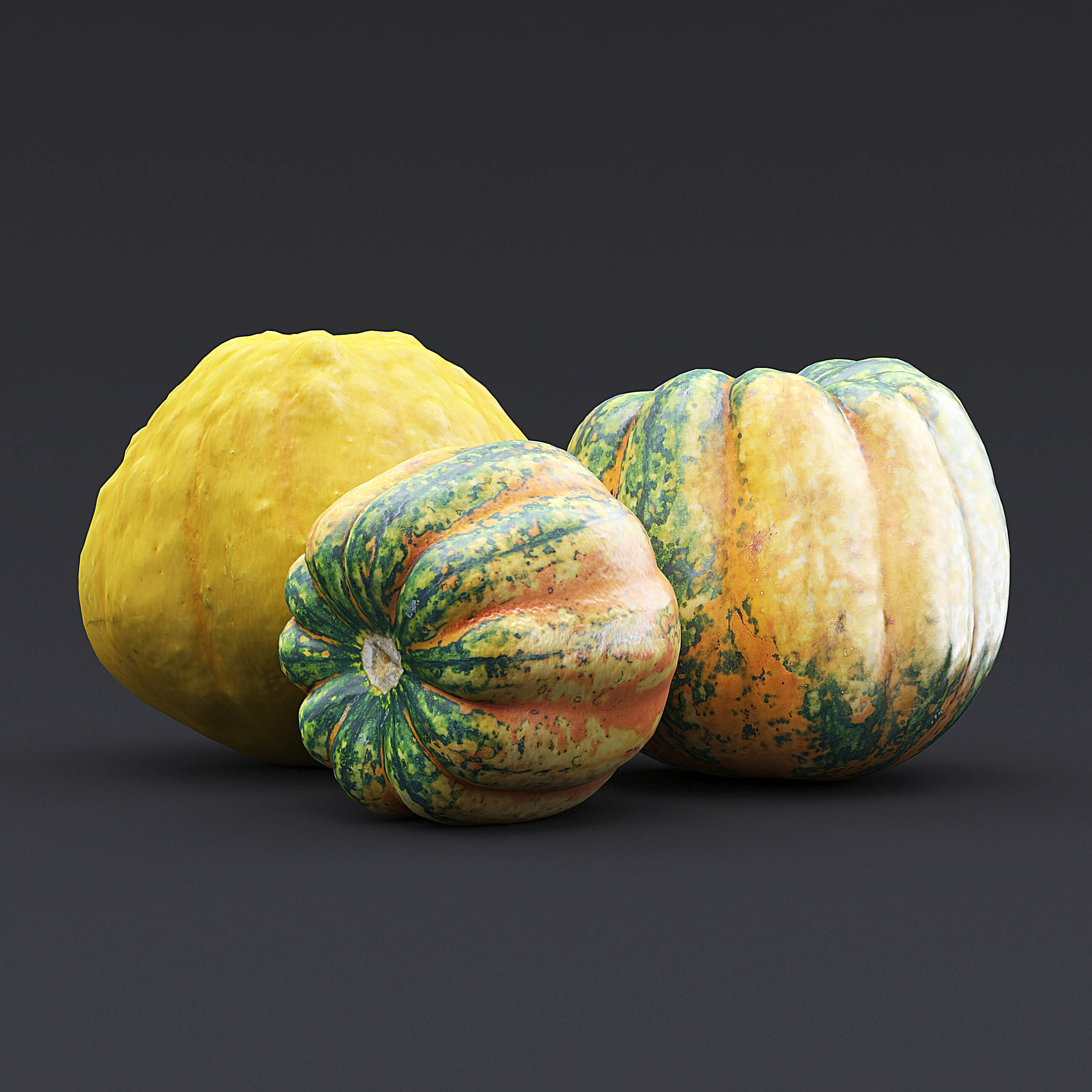 Decorative Pumpkins - 3D Model by fusemesh