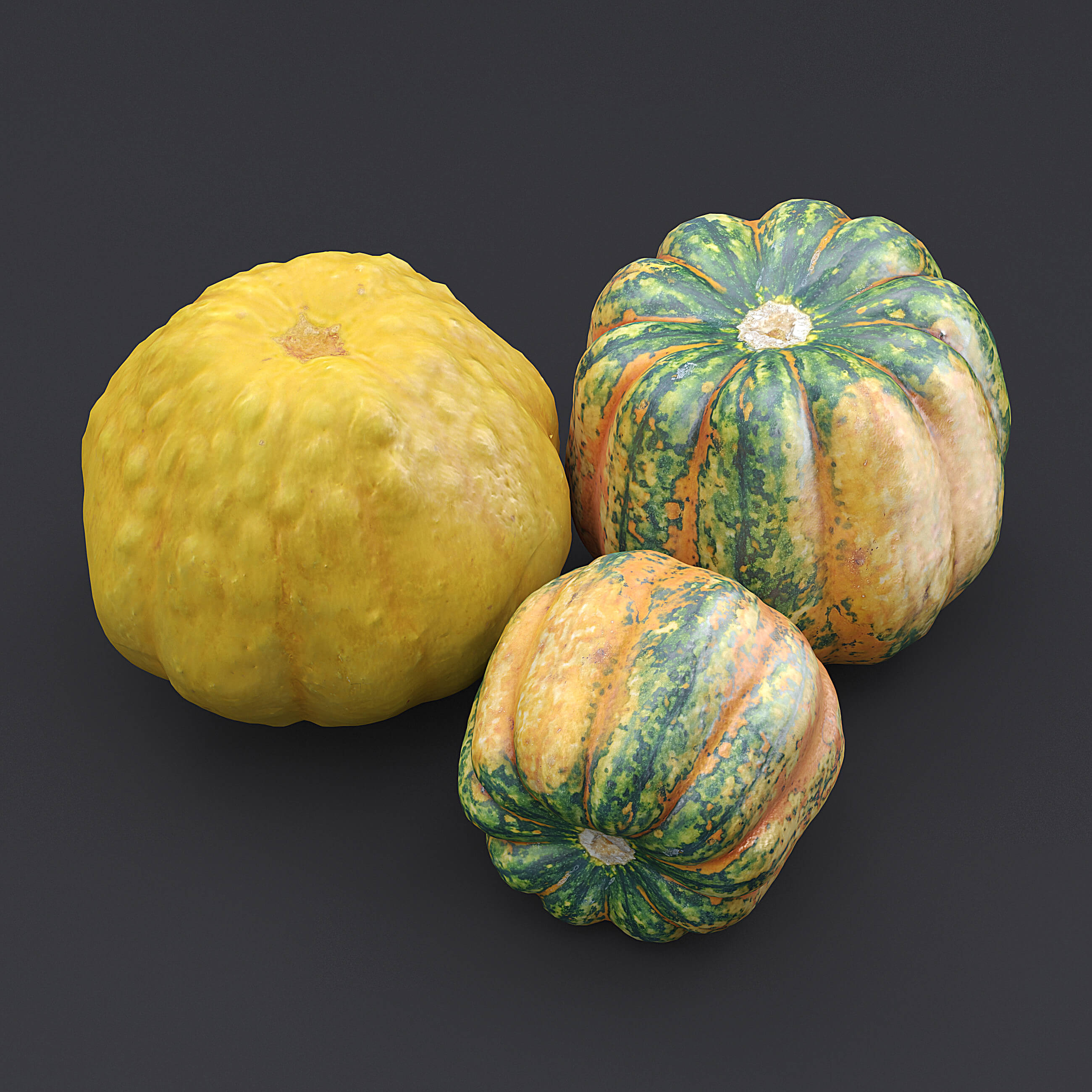 Decorative Pumpkins - 3D Model by fusemesh
