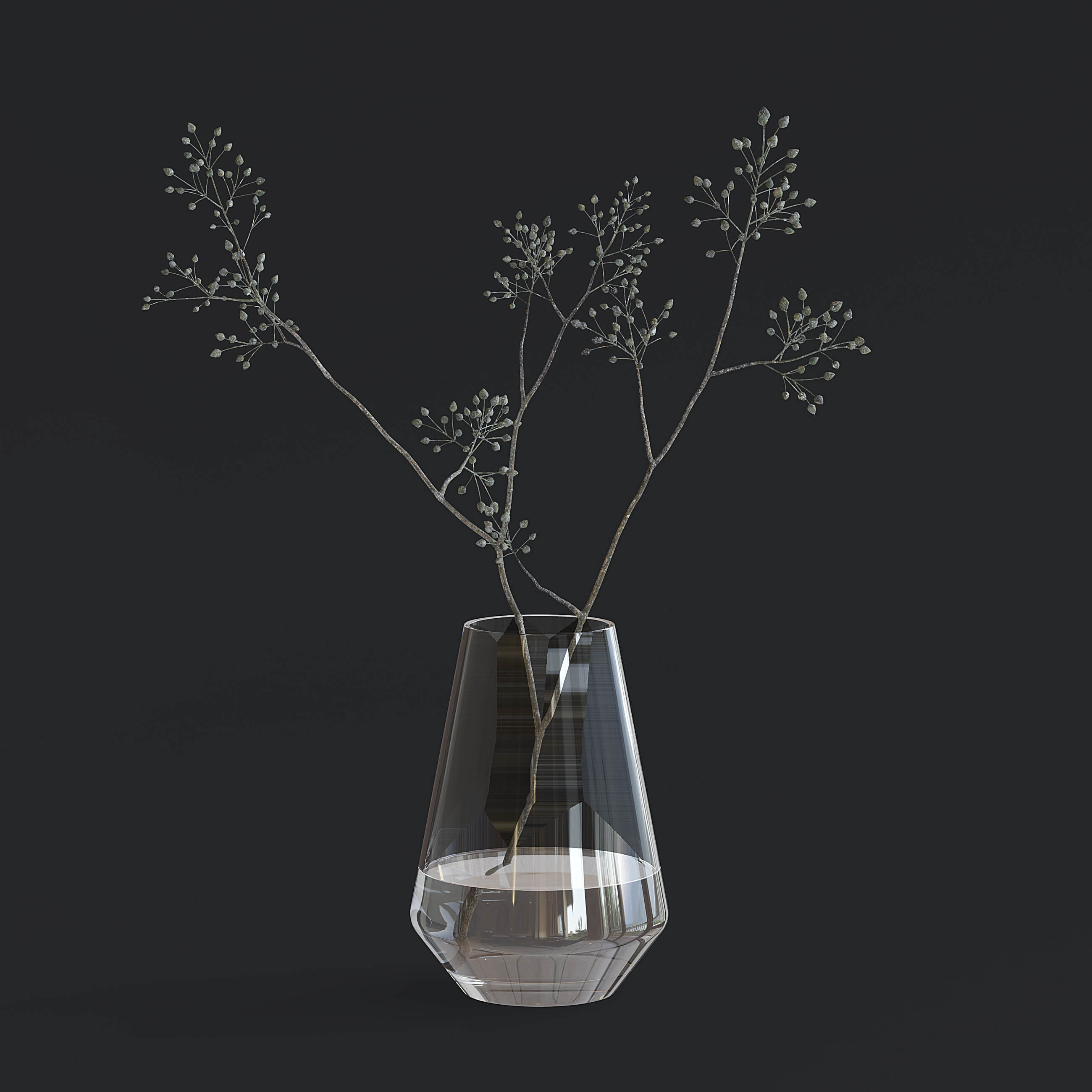 Dry Plant Plant - 3D Model by fusemesh