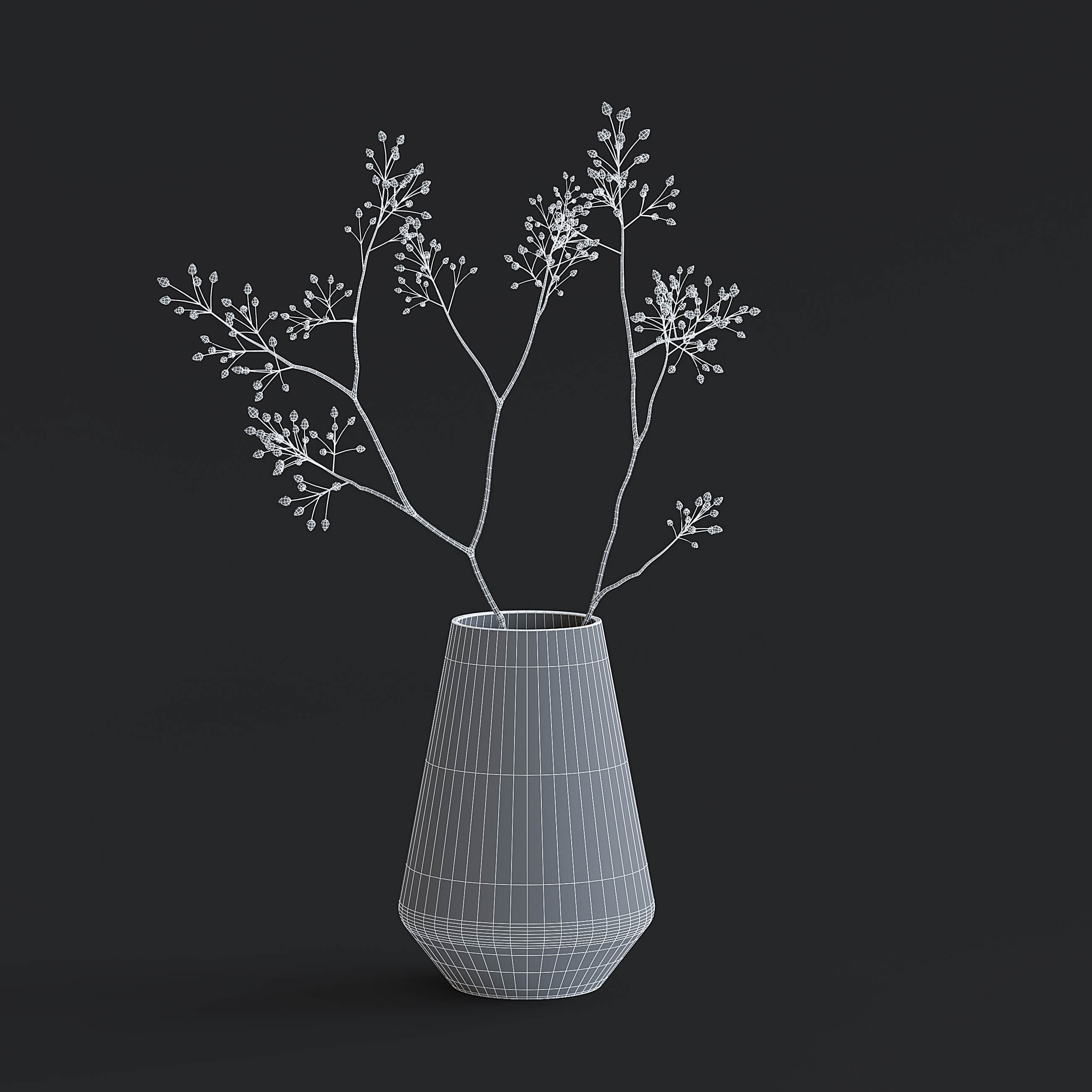 Dry Plant Plant - 3D Model by fusemesh