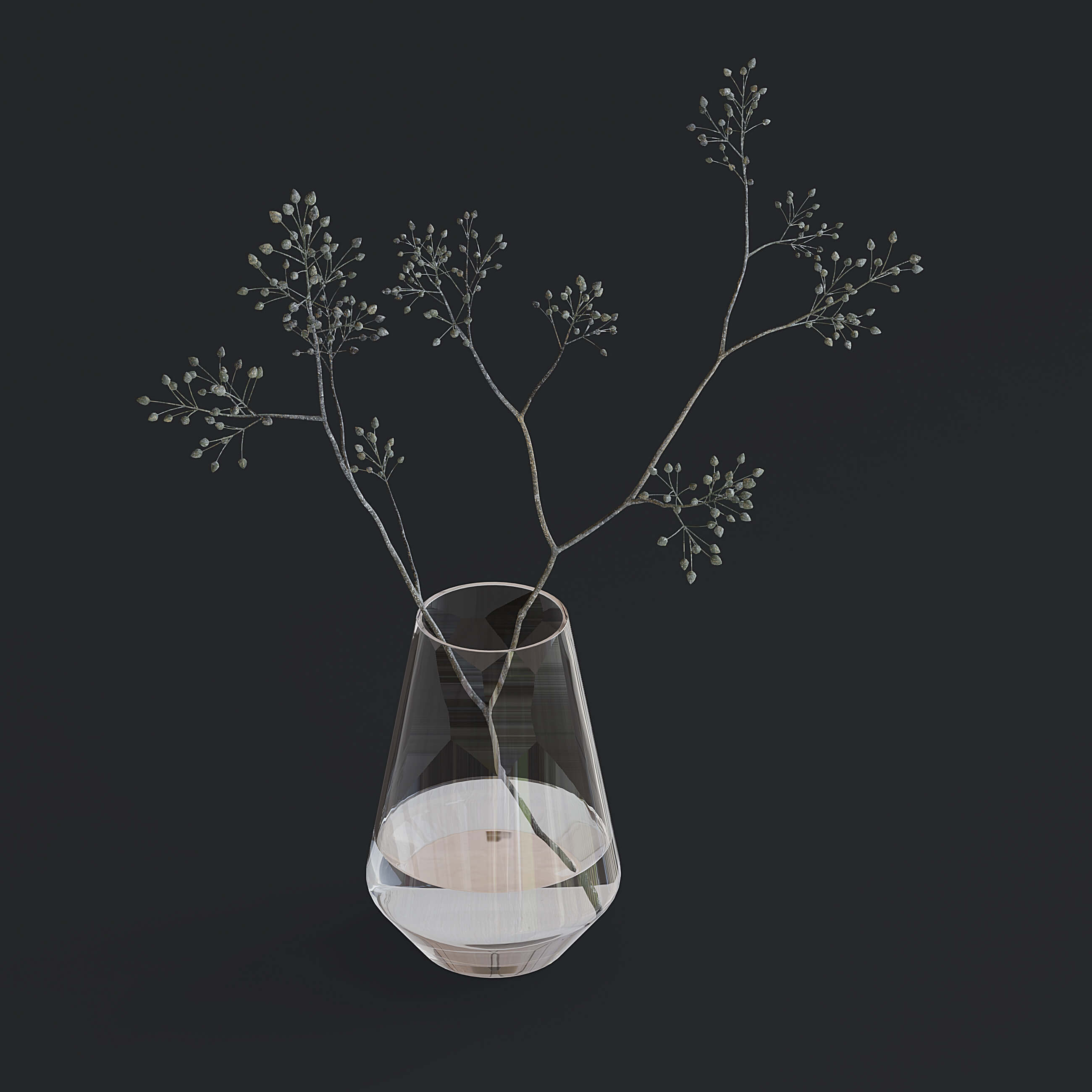 Dry Plant Plant - 3D Model by fusemesh