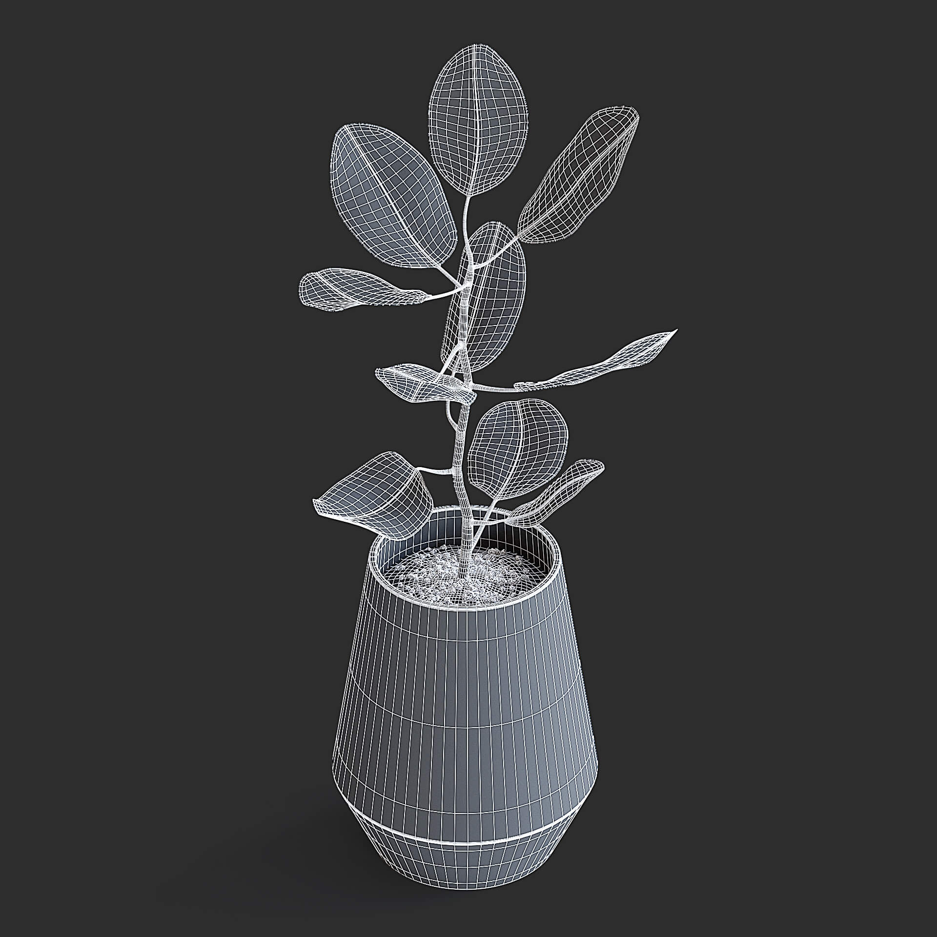 Ficus Plant II - 3D Model by fusemesh