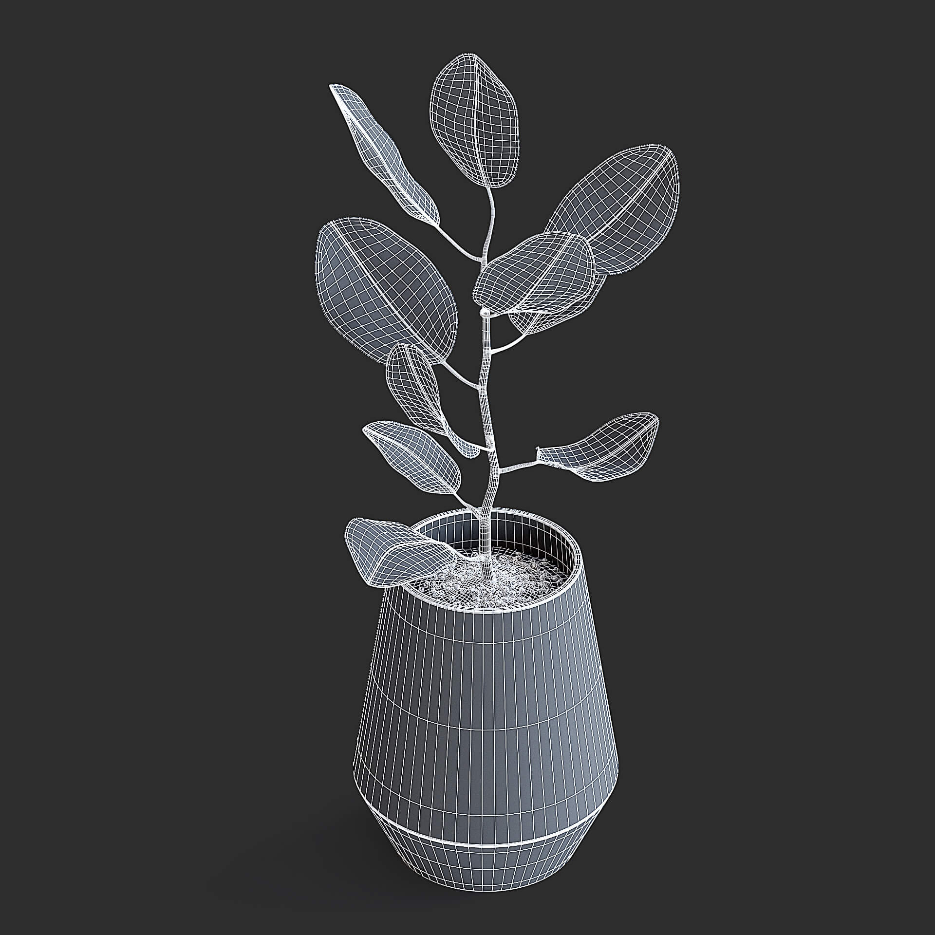 Ficus Plant II - 3D Model by fusemesh