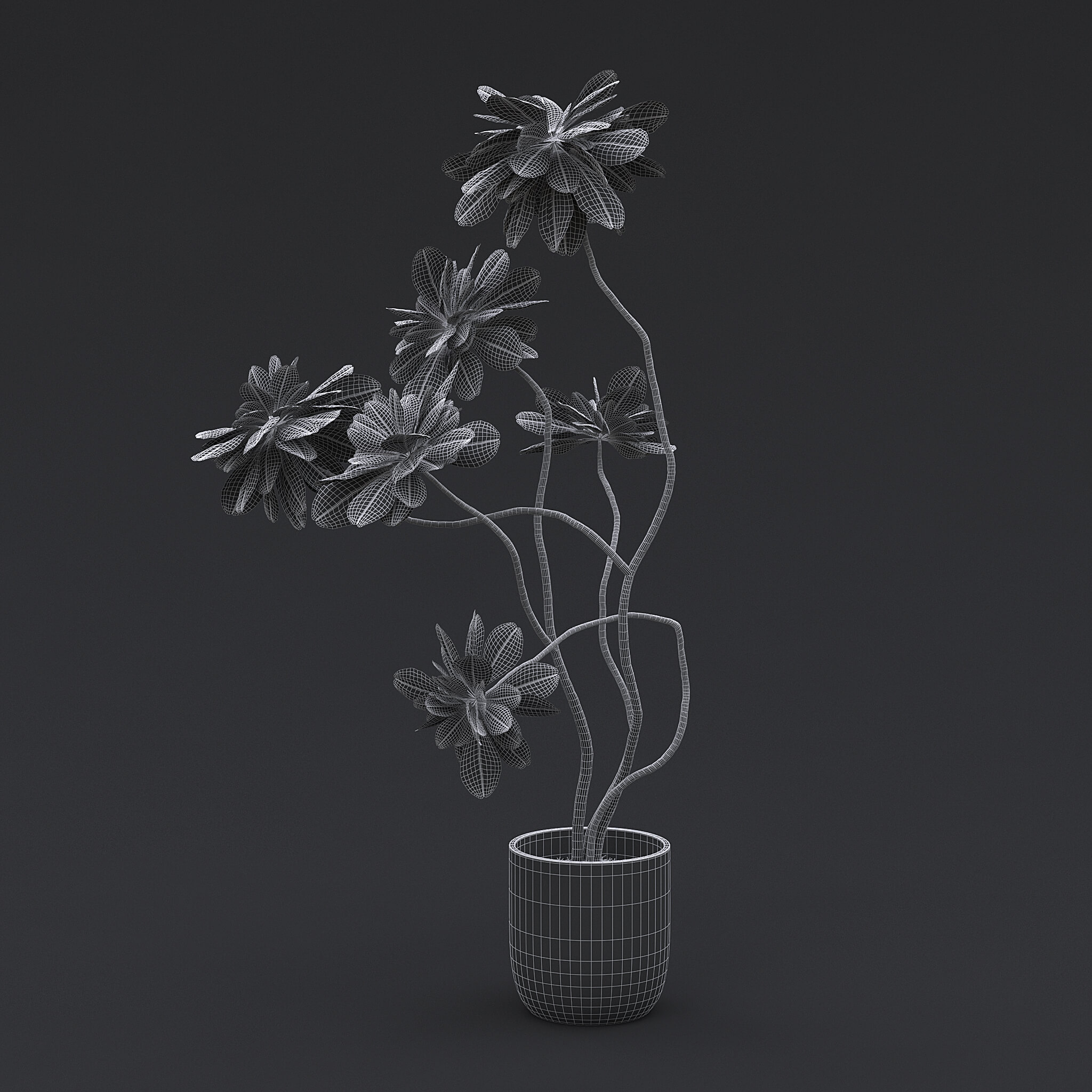 Fiddle Fig Tree I - 3D Model by fusemesh