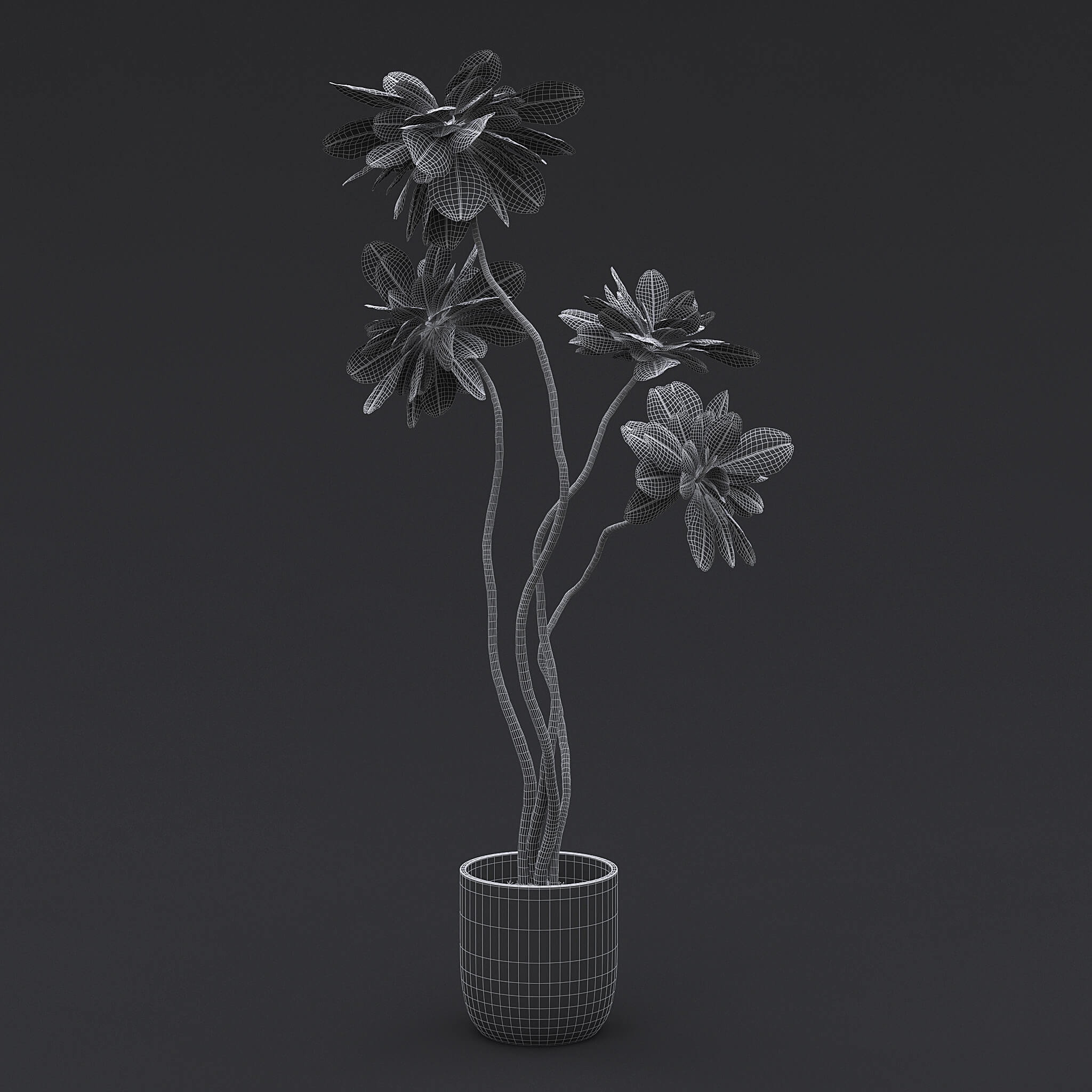Fiddle Fig Tree II - 3D Model by fusemesh