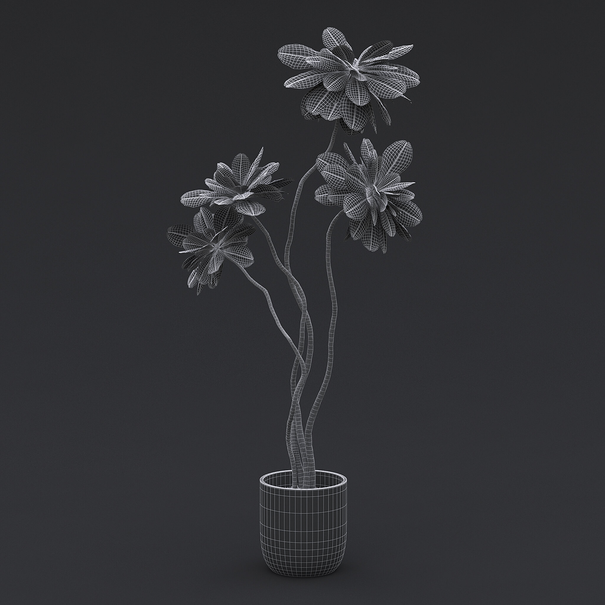 Fiddle Fig Tree II - 3D Model by fusemesh