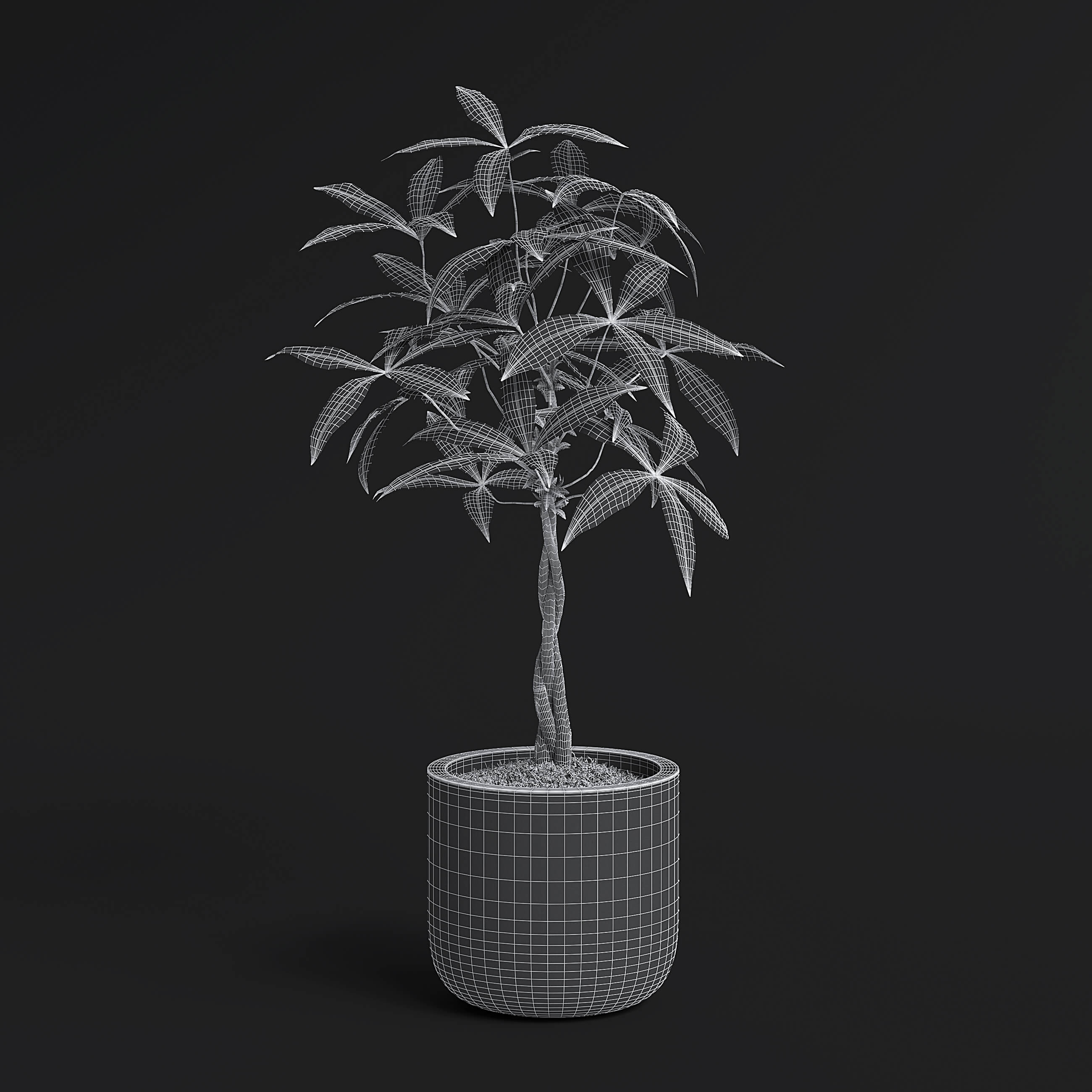 Money Tree Money Tree - 3D Model by fusemesh