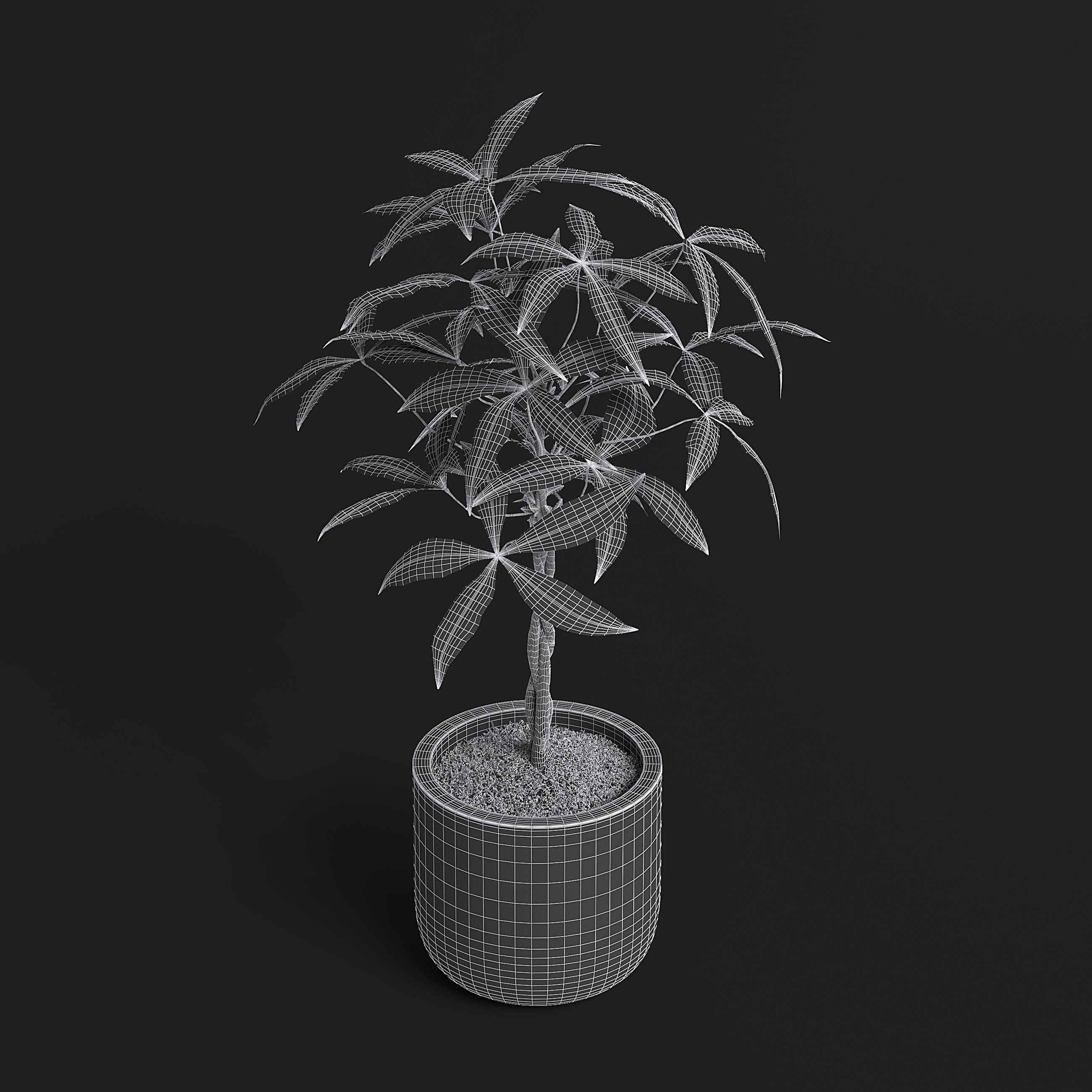 Money Tree Money Tree - 3D Model by fusemesh