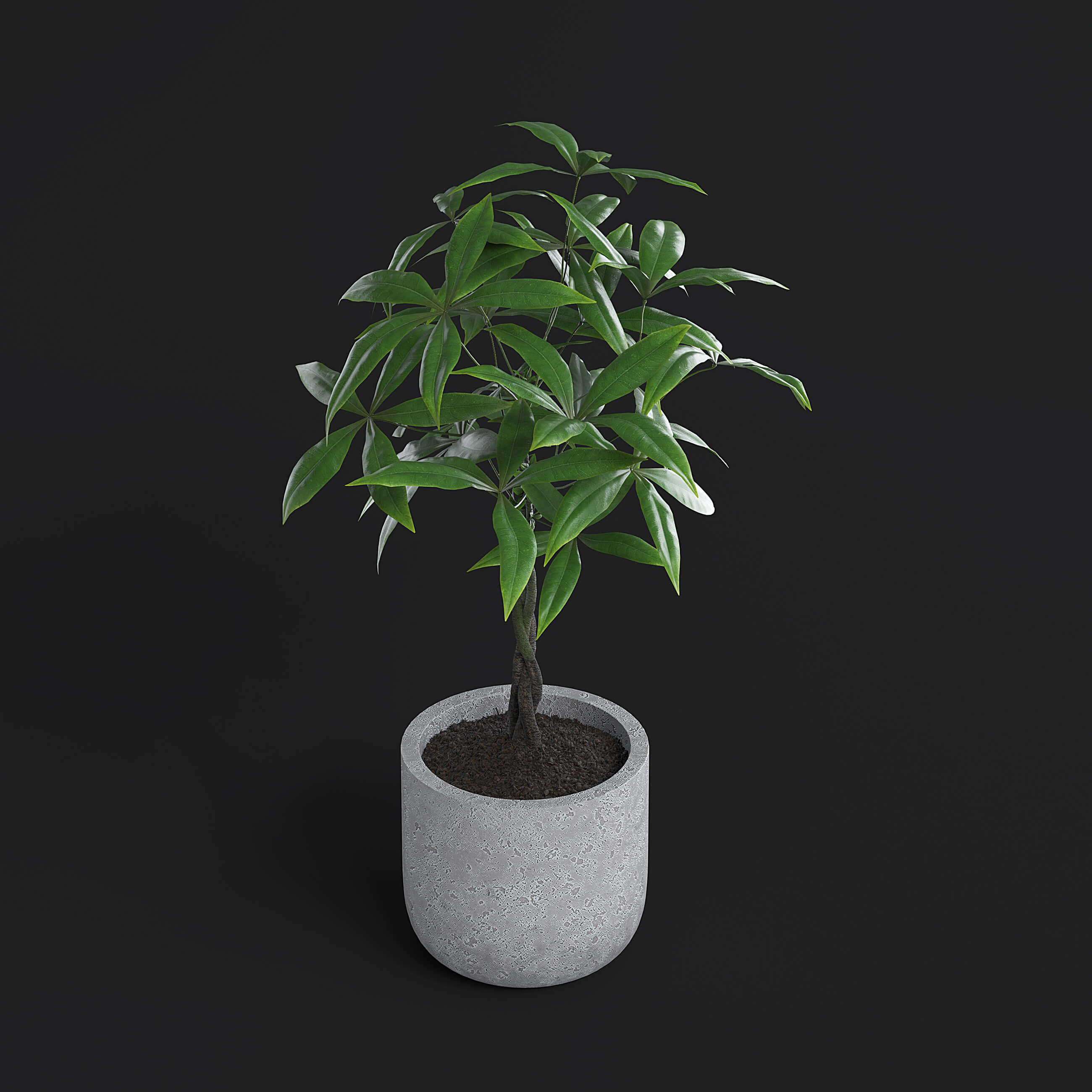 Money Tree Money Tree - 3D Model by fusemesh