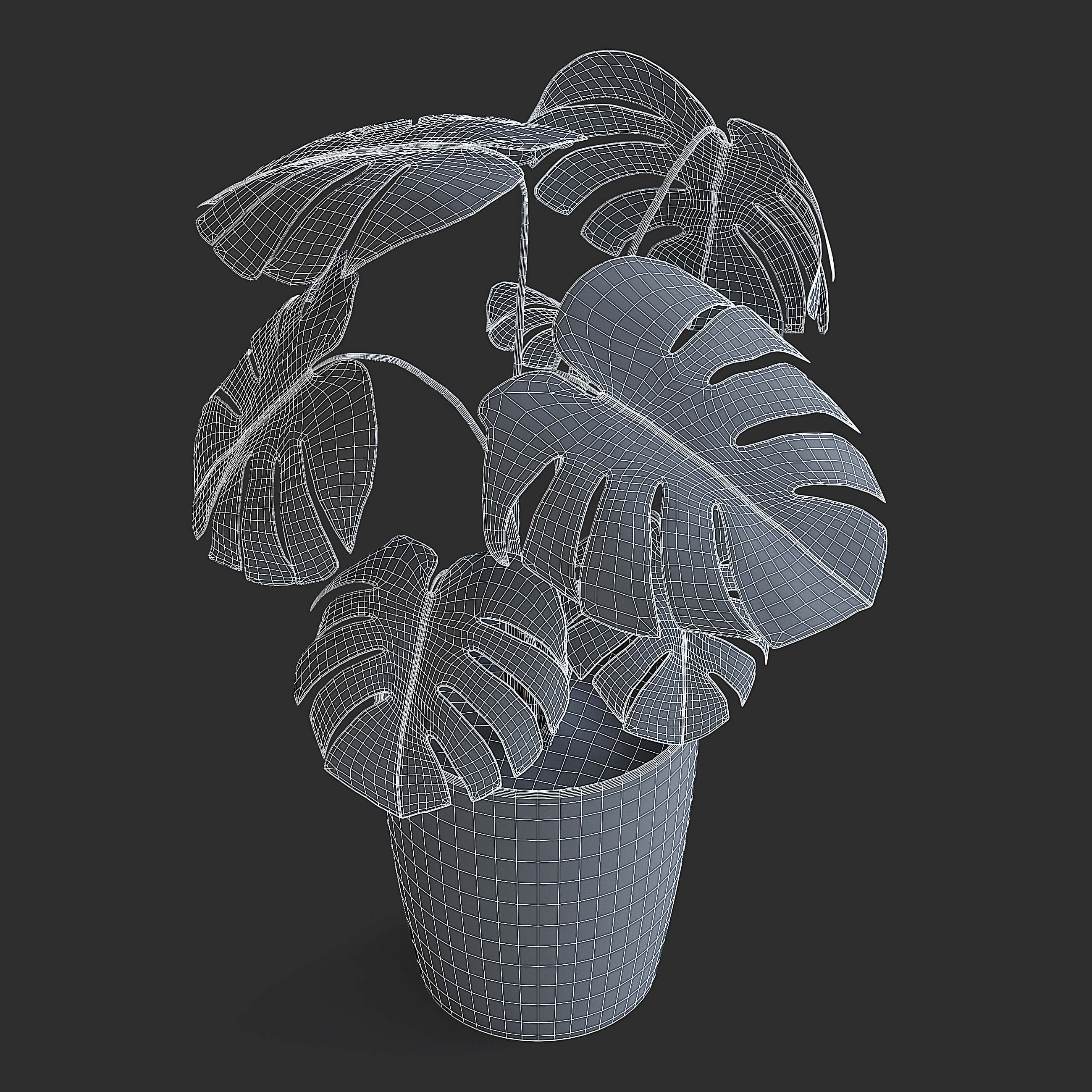 Monstera Plant II - 3D Model by fusemesh