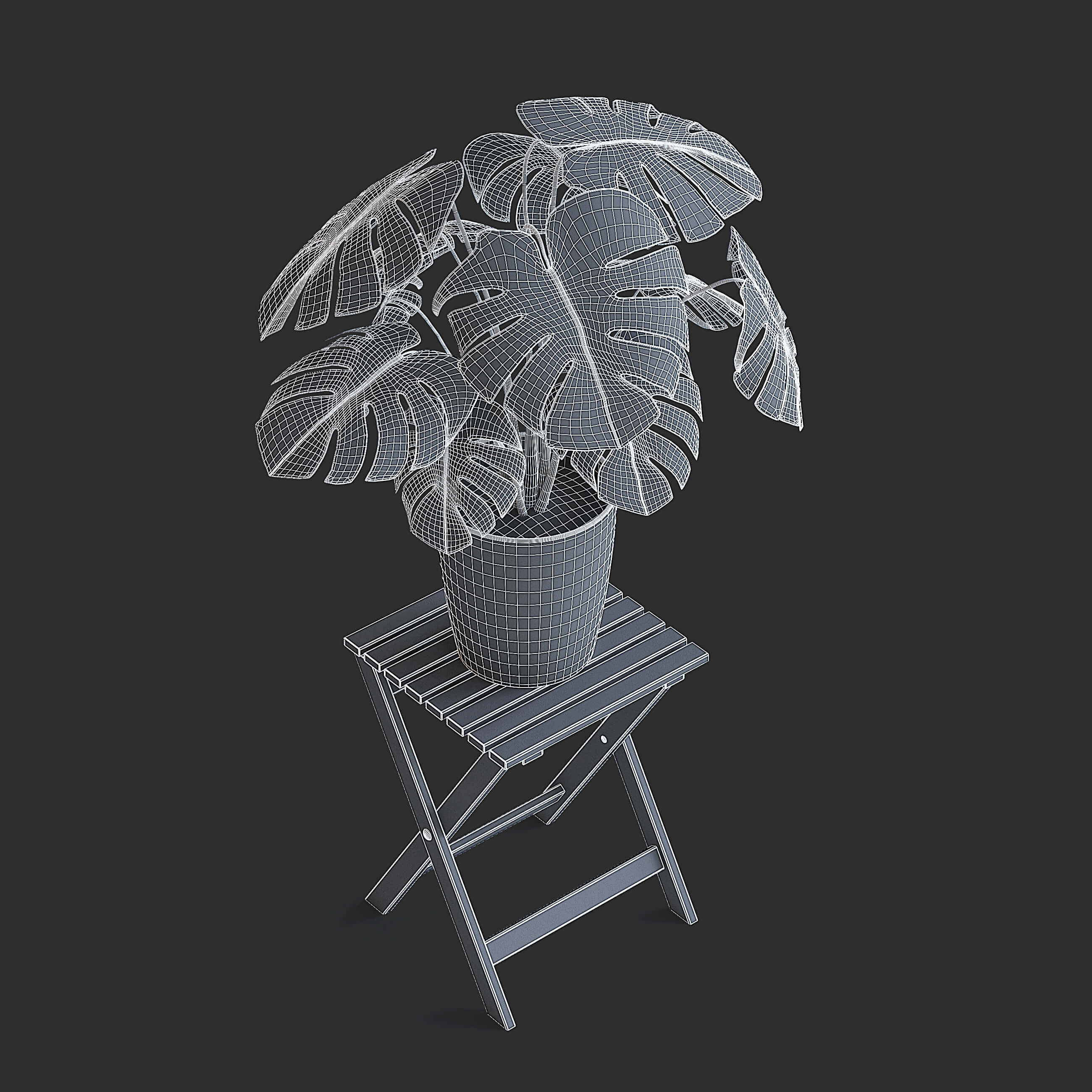 Monstera Plant - 3D Model by fusemesh