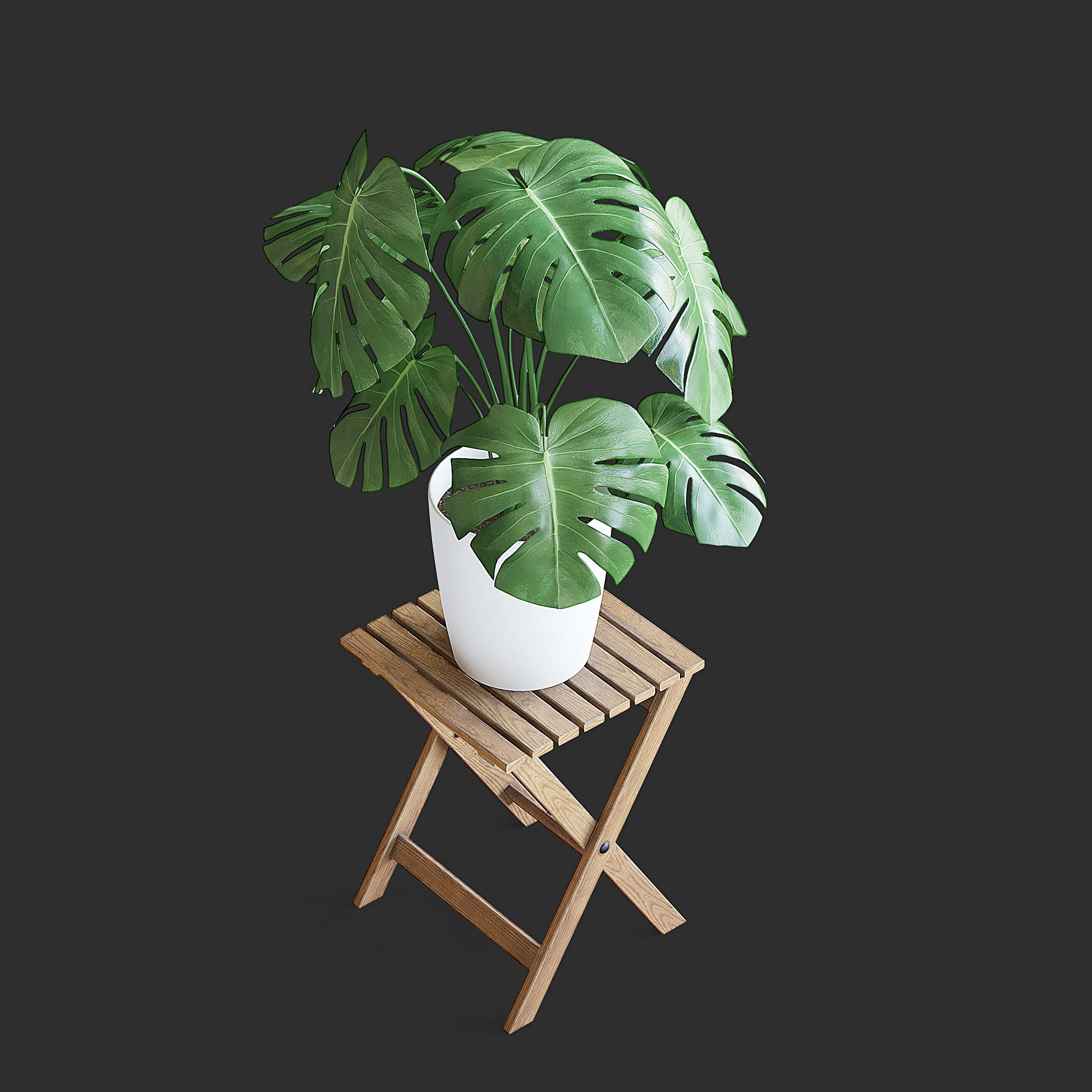 Monstera Plant - 3D Model by fusemesh