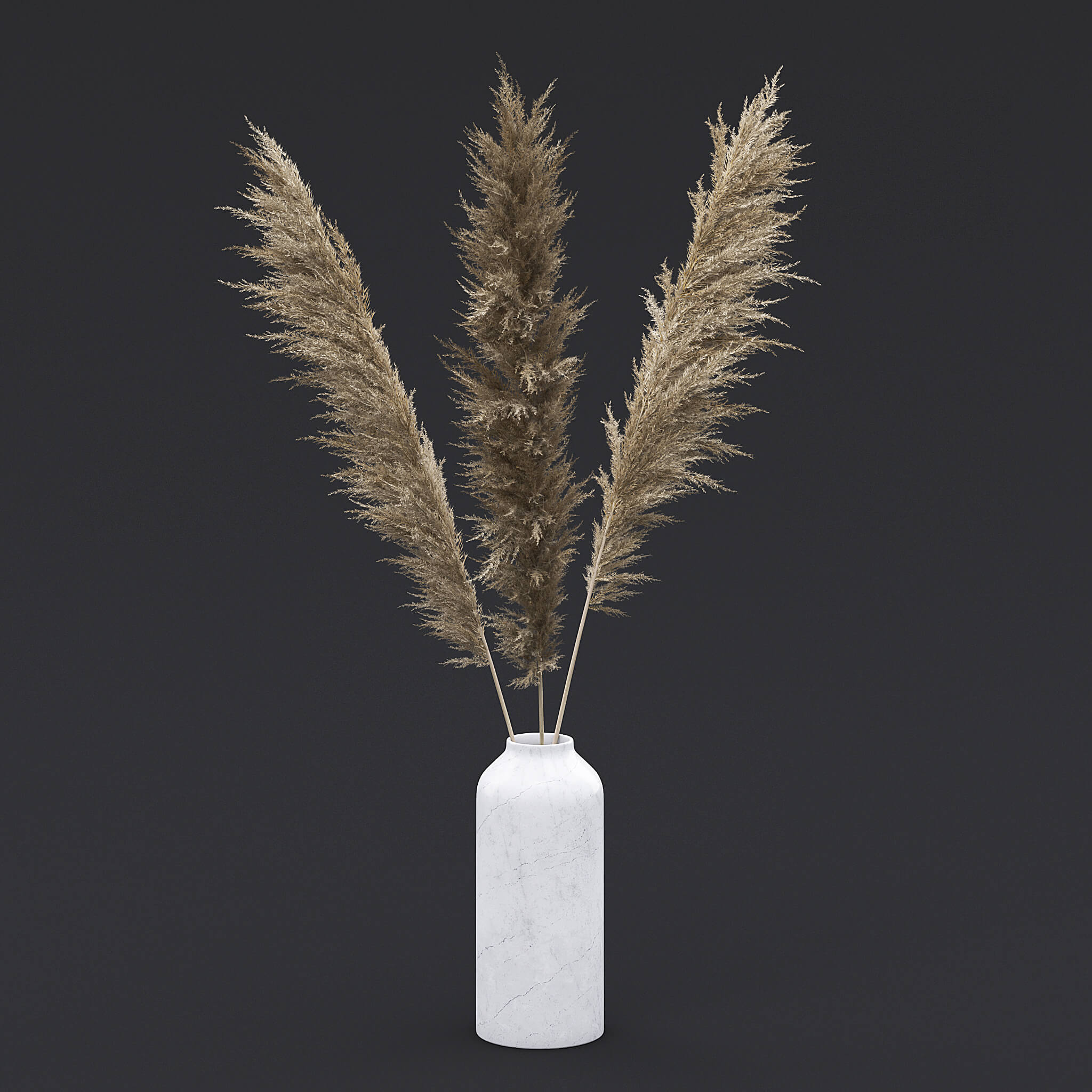 Pampas Grass I - 3D Model by fusemesh