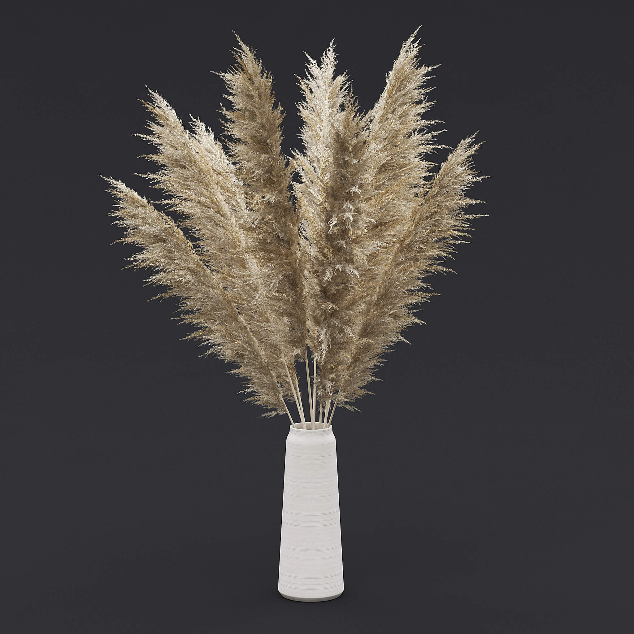 Pampas Grass II - 3D Model by fusemesh