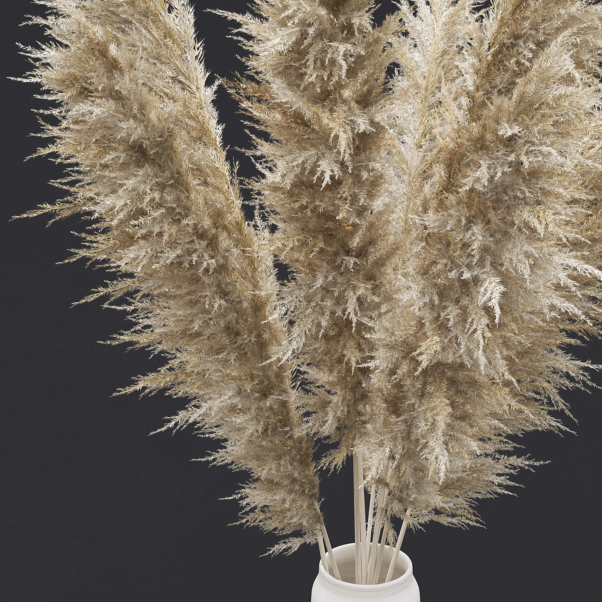 Pampas Grass II - 3D Model by fusemesh