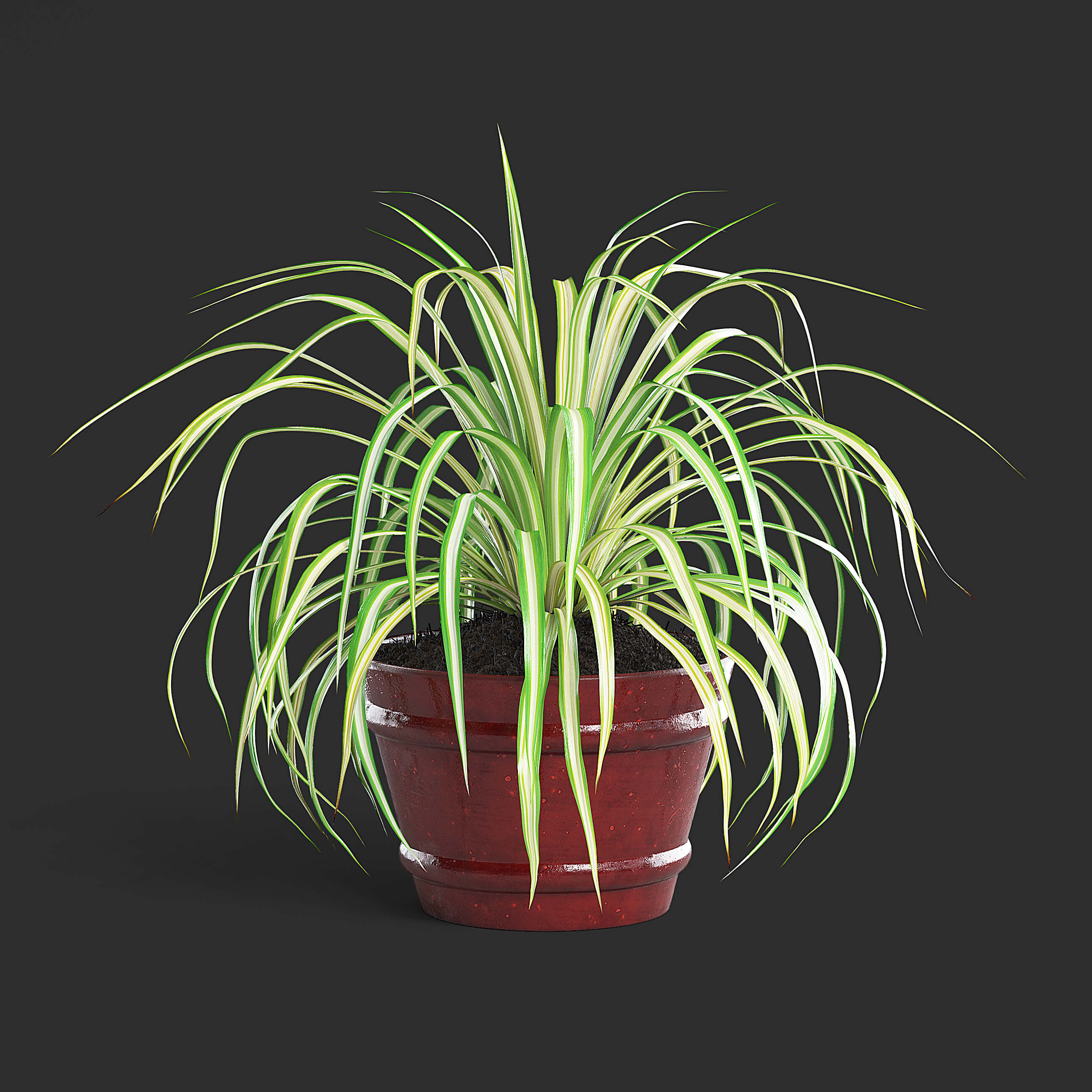 Spider Plant III - 3D Model by fusemesh