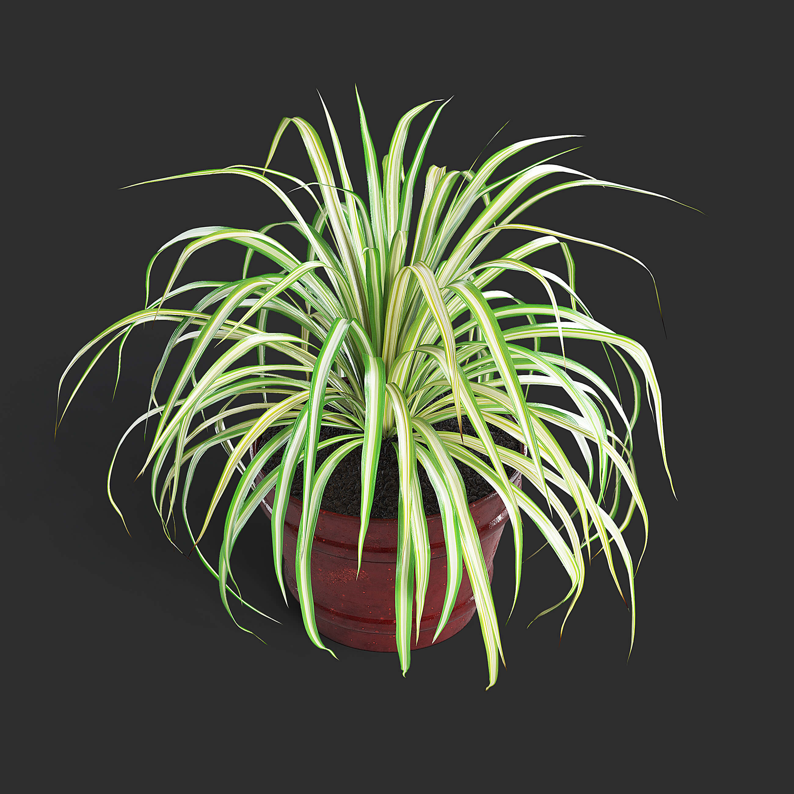 Spider Plant III - 3D Model by fusemesh